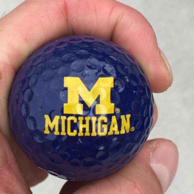 BRAND NEW: 2 University Of Michigan Logo Balls | SidelineSwap