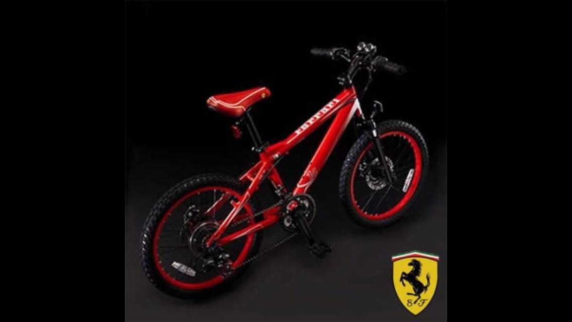 Ferrari CX-30 Youth Kids Mountain Bike Kids Bicycle 20 Inch Wheels 12 ...