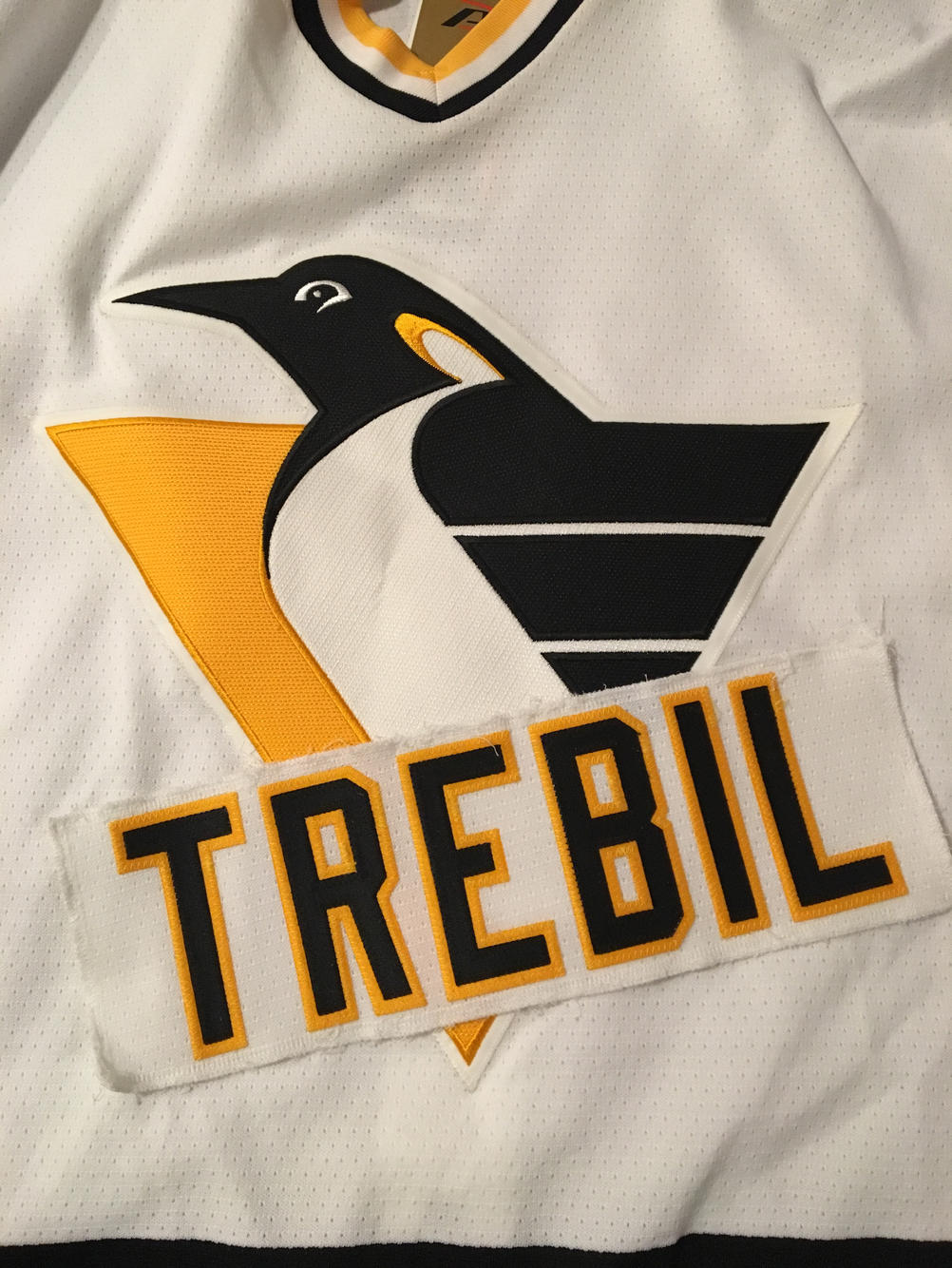 Dan Trebil Pittsburgh Penguins Team Issued NHL Hockey Jersey Nameplate ...