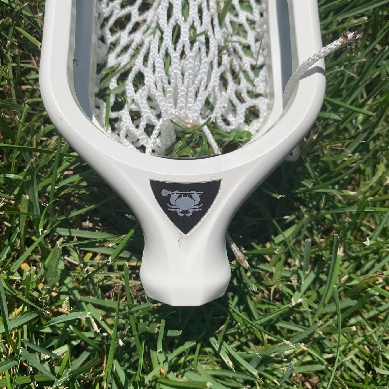 ECD DNA Head (Strung) | SidelineSwap