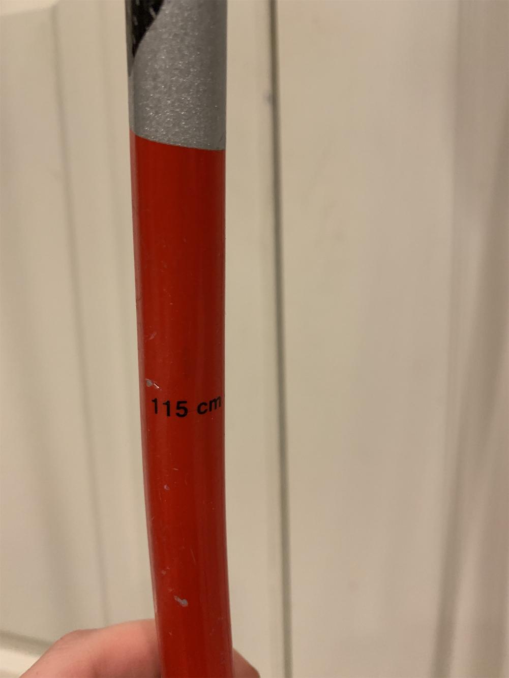 Used 46in (115cm) Racing World Cup Lite GS Ski Poles | SidelineSwap