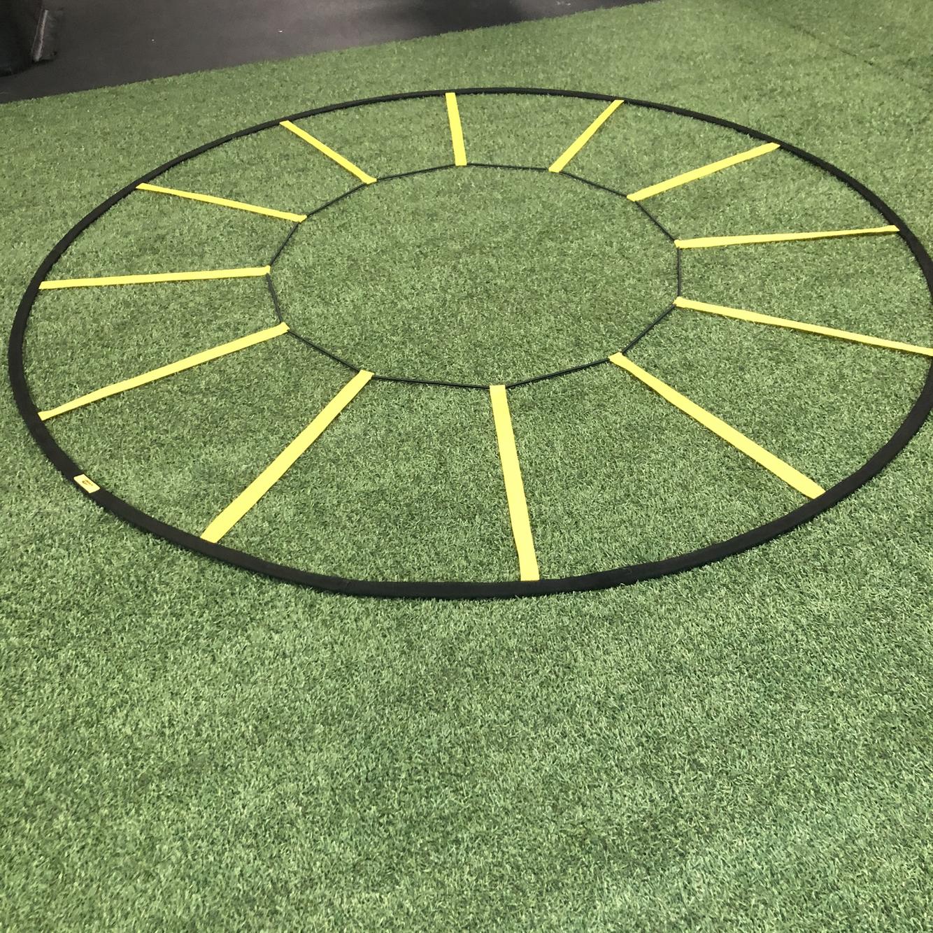 2 New Webby Agility Circle ladders | SidelineSwap