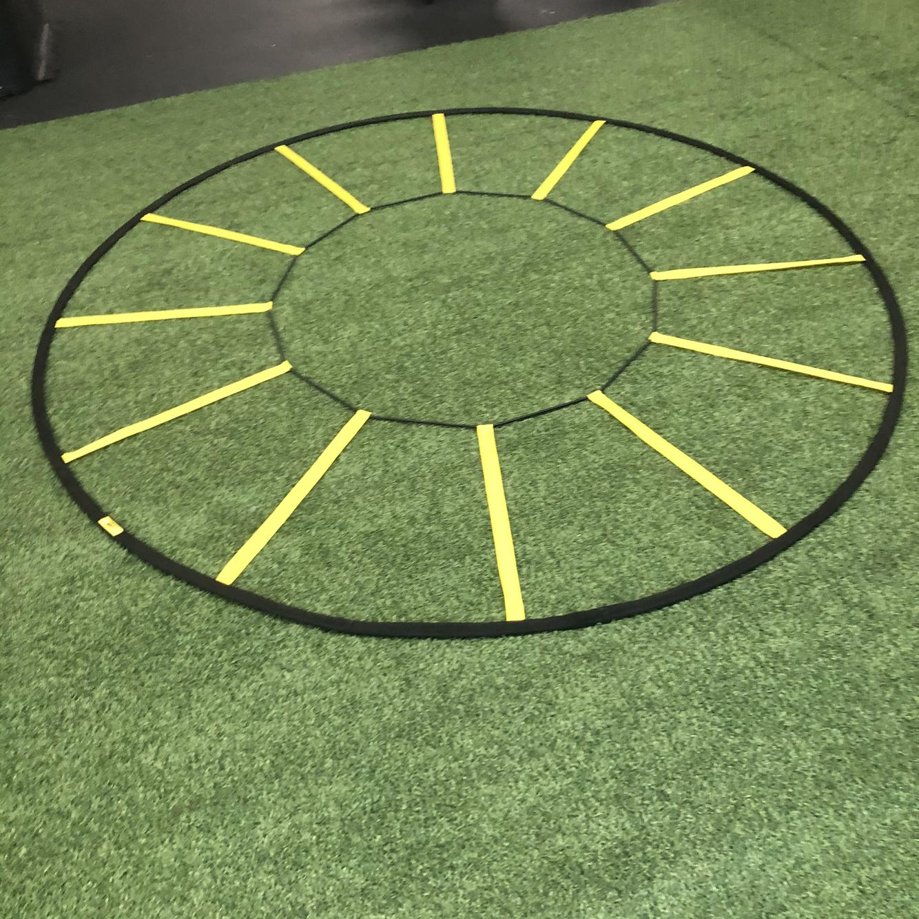 2 New Webby Agility Circle ladders | SidelineSwap