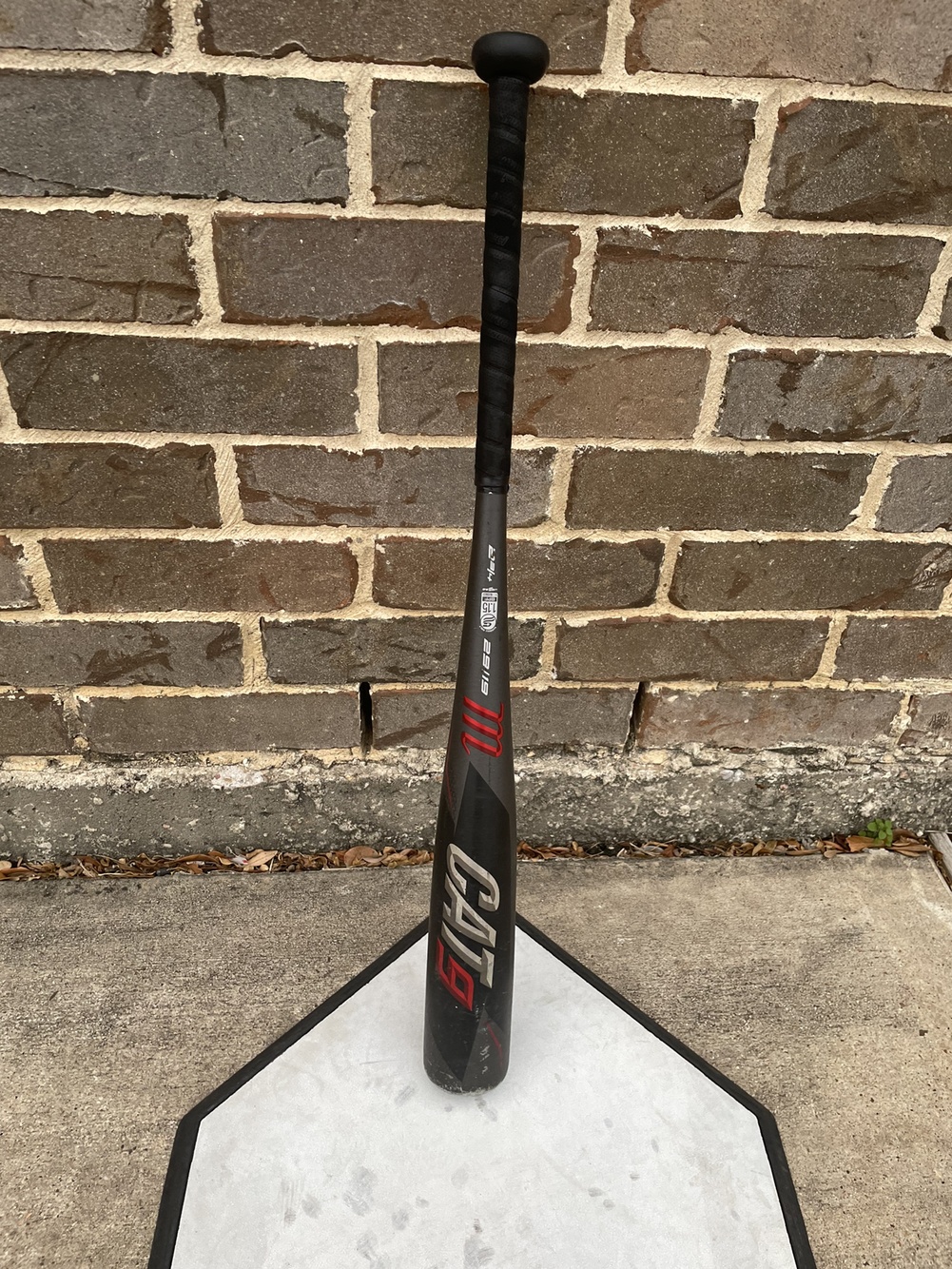 2021 Alloy (-10) 19 oz 29" Cat 9 Bat | SidelineSwap