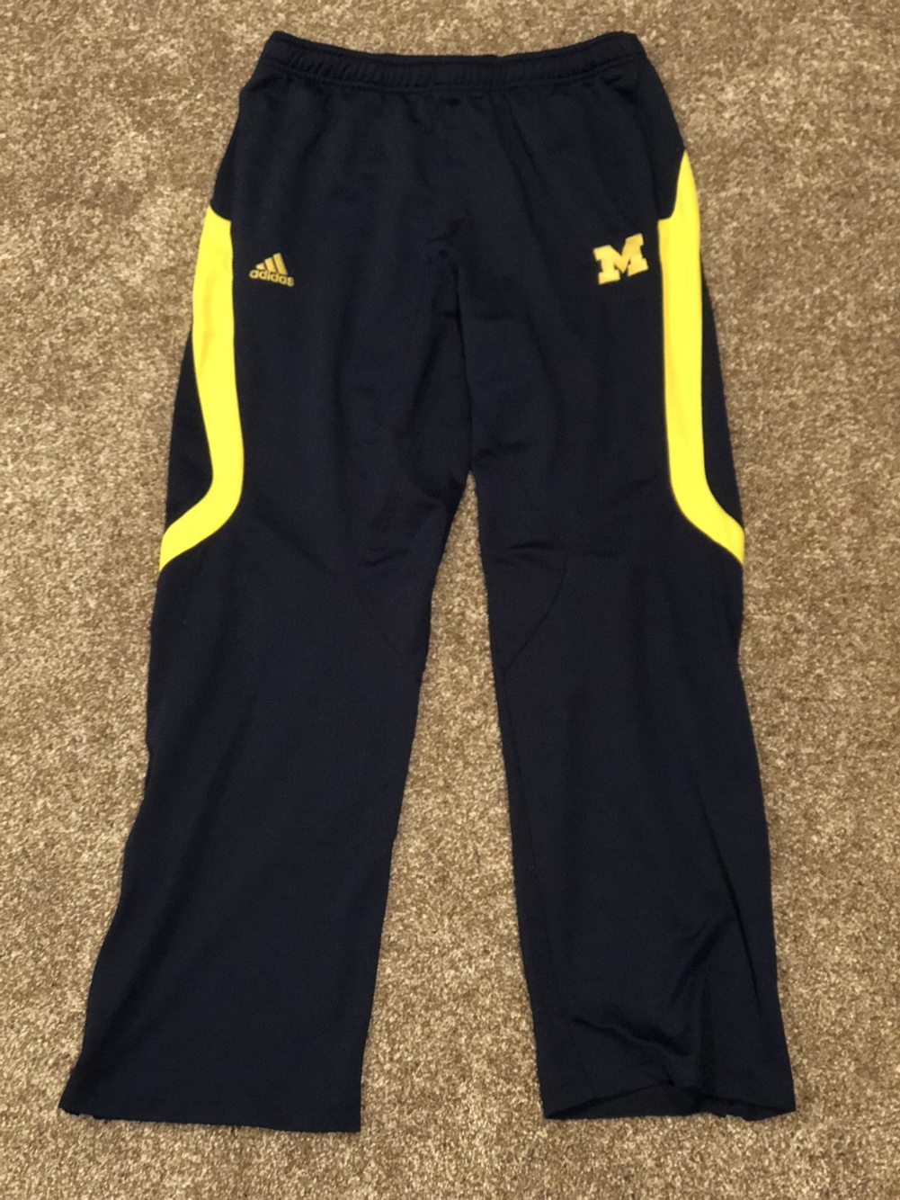 Medium Adidas Michigan pants | SidelineSwap