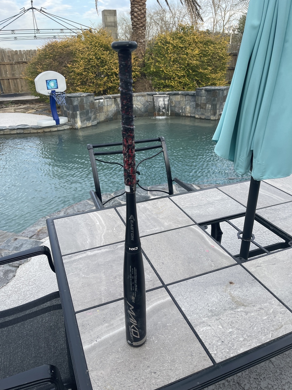 Extremely powerful light weight Easton Composite Mako Beast Bat (-12 ...