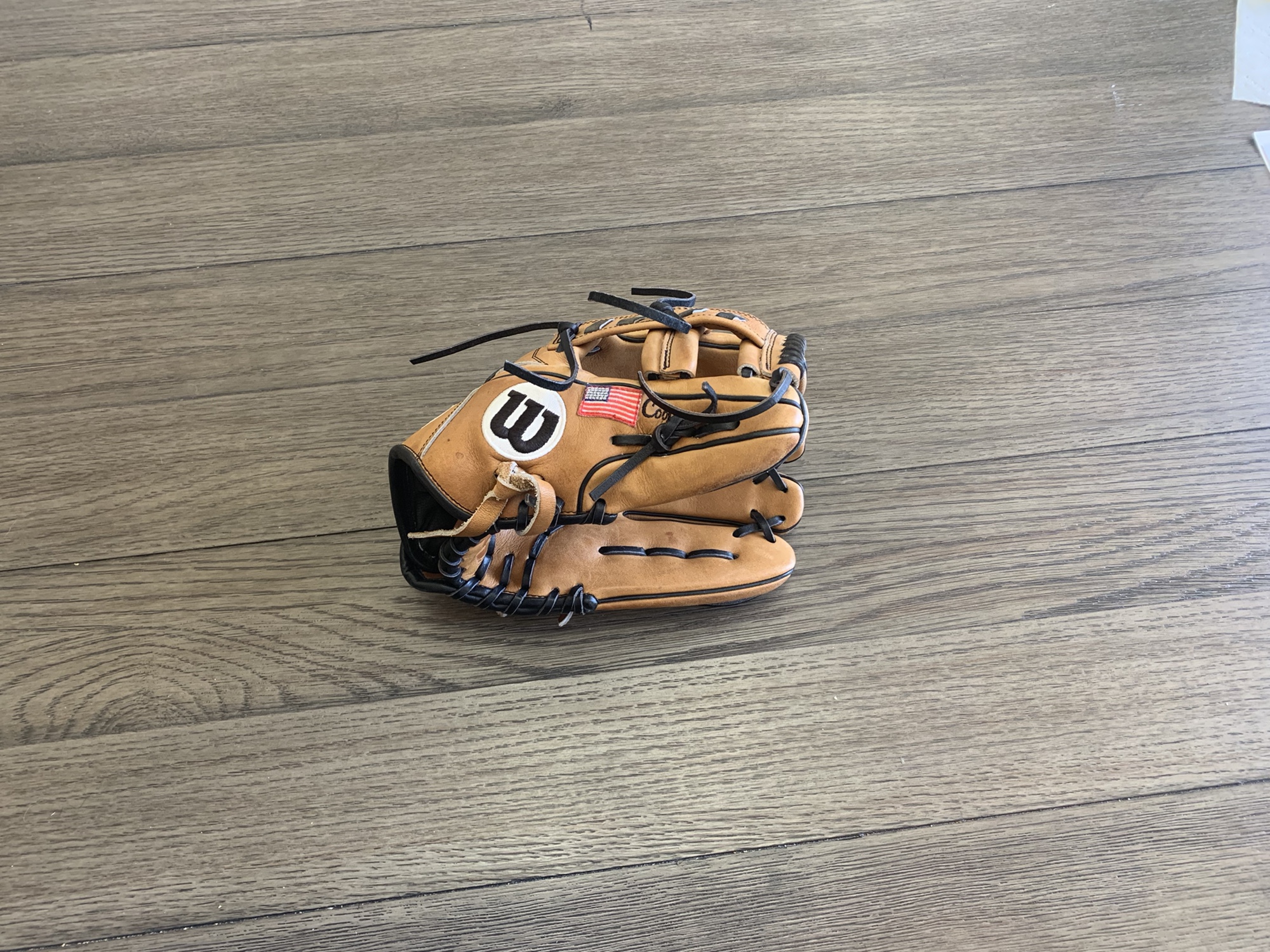 Custom Wilson A2000 1716 11.5” Single Post Web | SidelineSwap