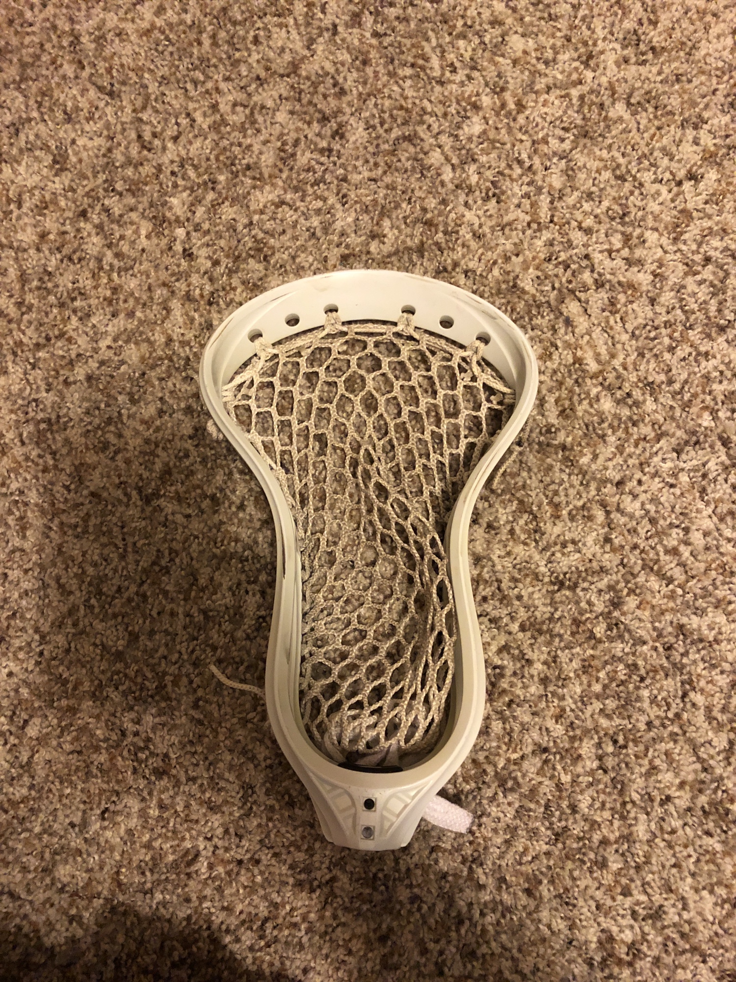 New StringKing Mark 2F Head | SidelineSwap
