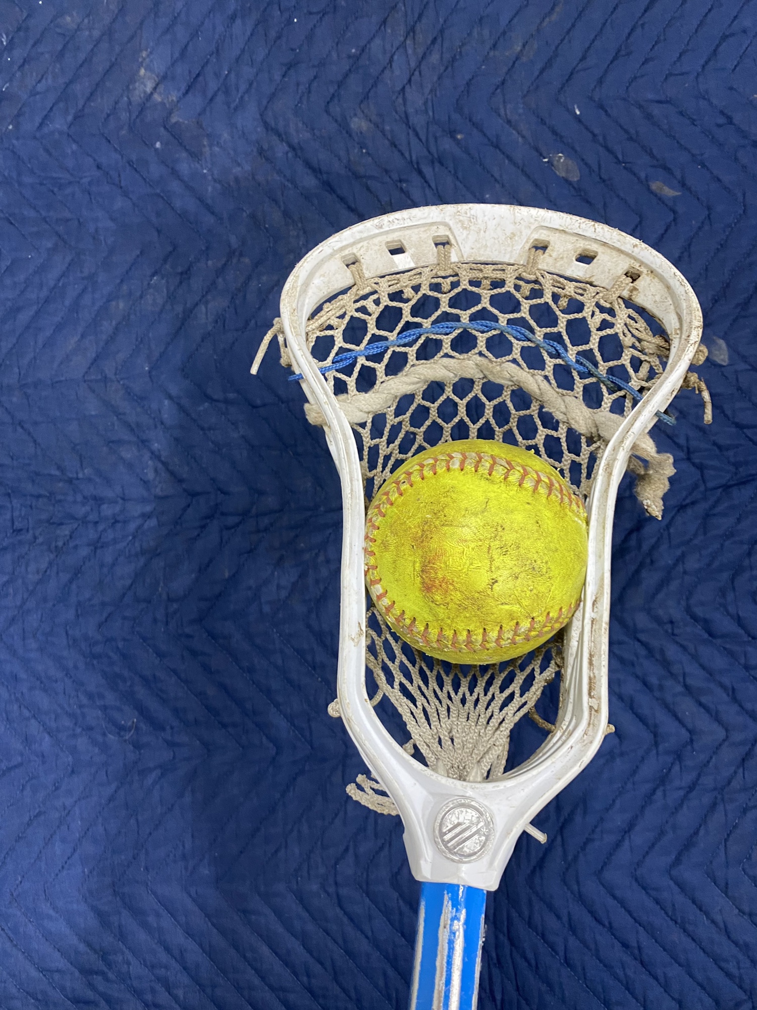 Used FOGO Strung Lock Head | SidelineSwap