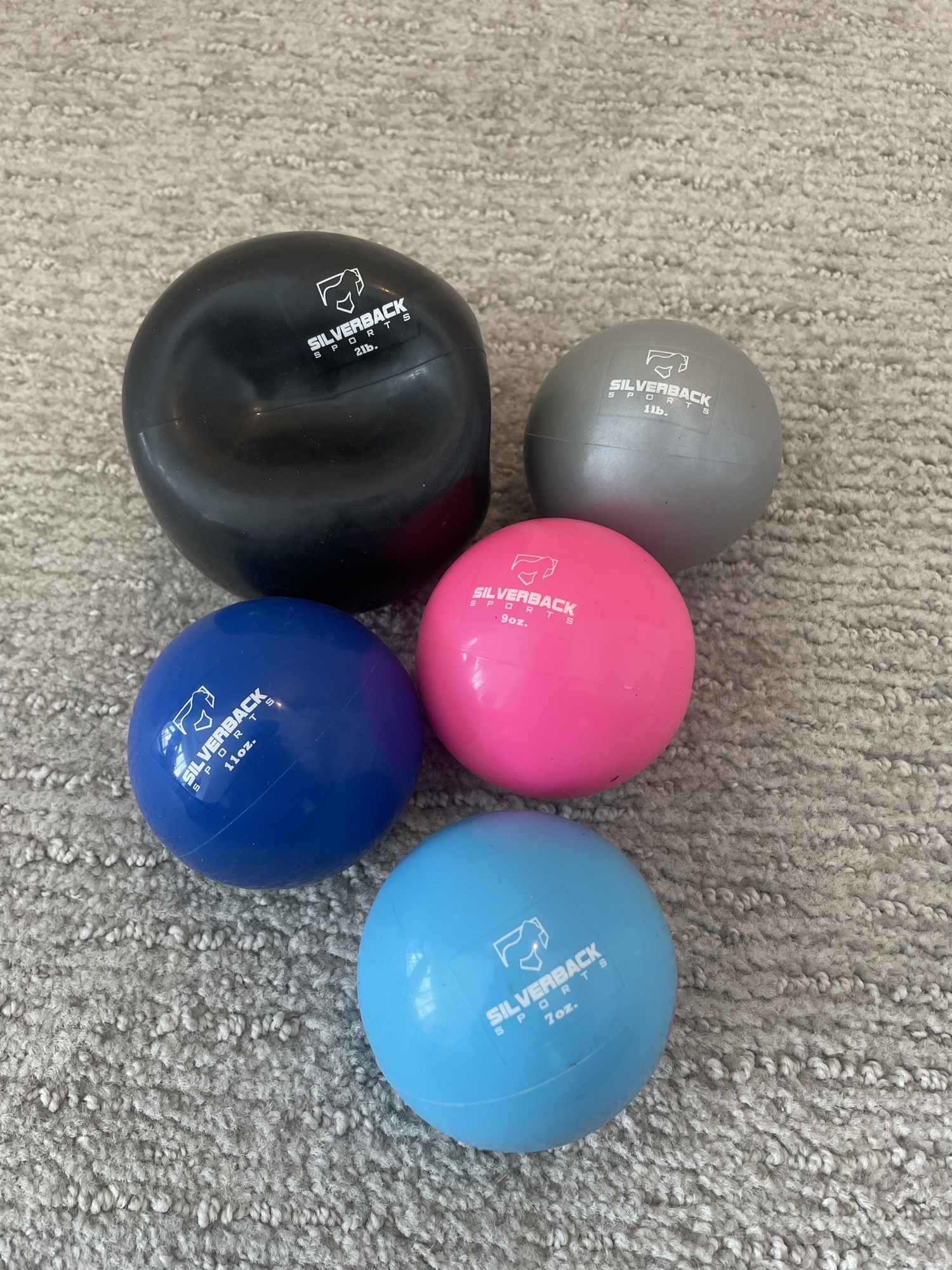 Weighted ball set & Plyo balls (bundle) | SidelineSwap