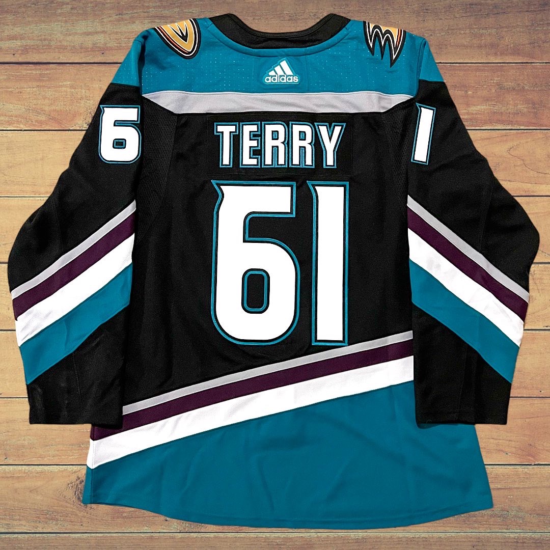 Troy Terry Anaheim Ducks Adidas 25th Anniversary Jersey | SidelineSwap