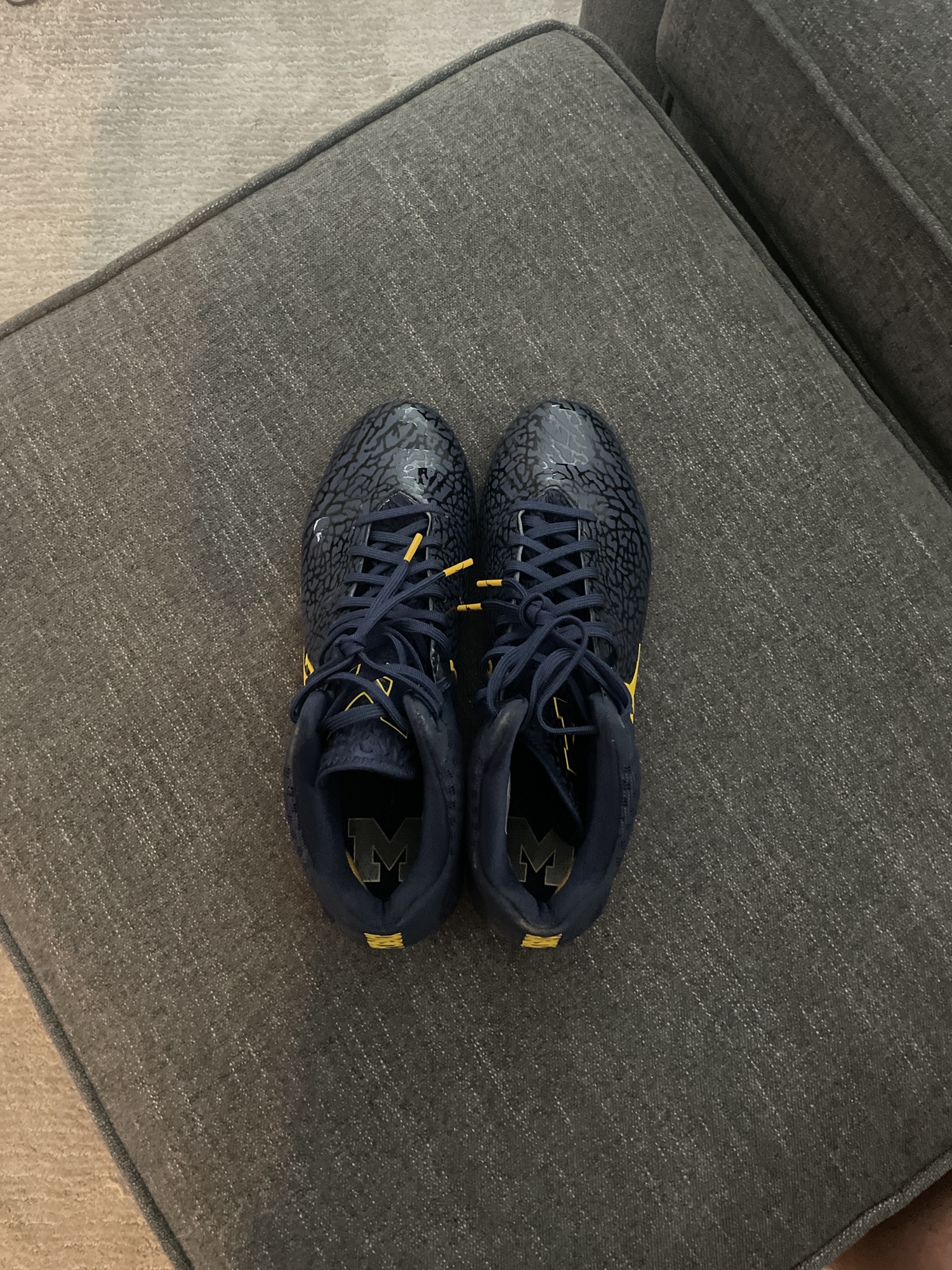 University of Michigan Custom Air Jordan Vapor Speed Cleats Size 12 ...