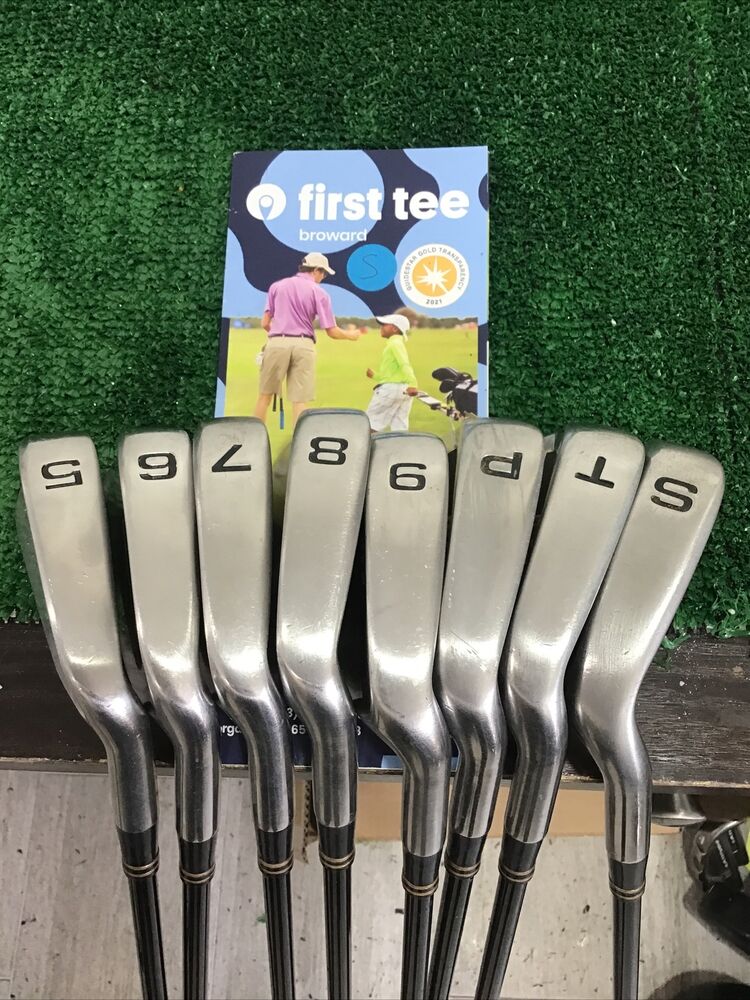 Henry Griffitts Iron Set 5-PW, TW, SW With Regular Graphite Shafts ...
