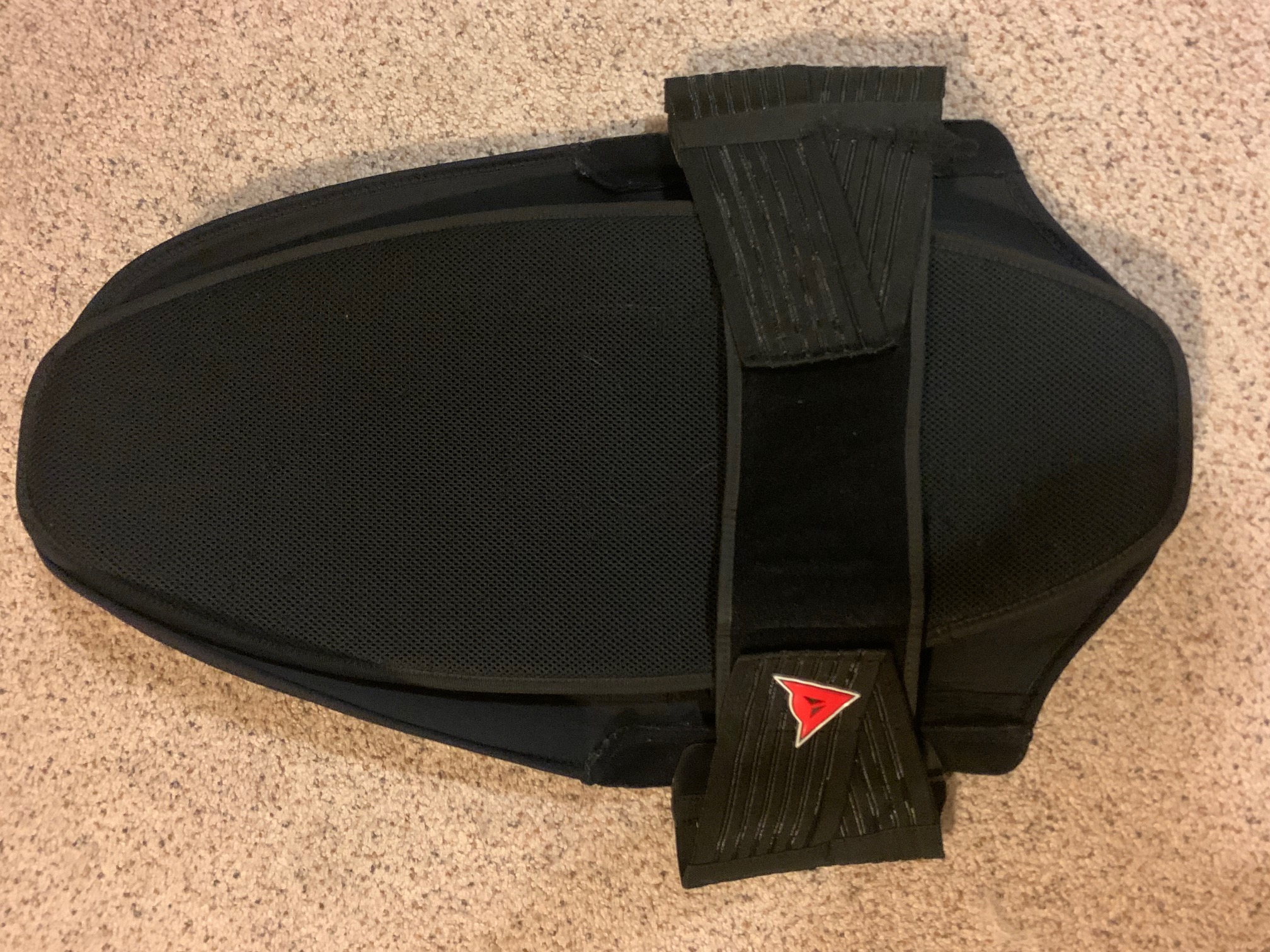 Dainese Back Protector | SidelineSwap