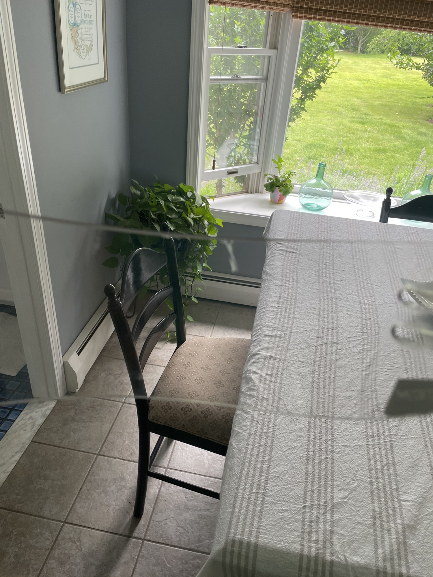 CCM Pro Stock Visor | SidelineSwap