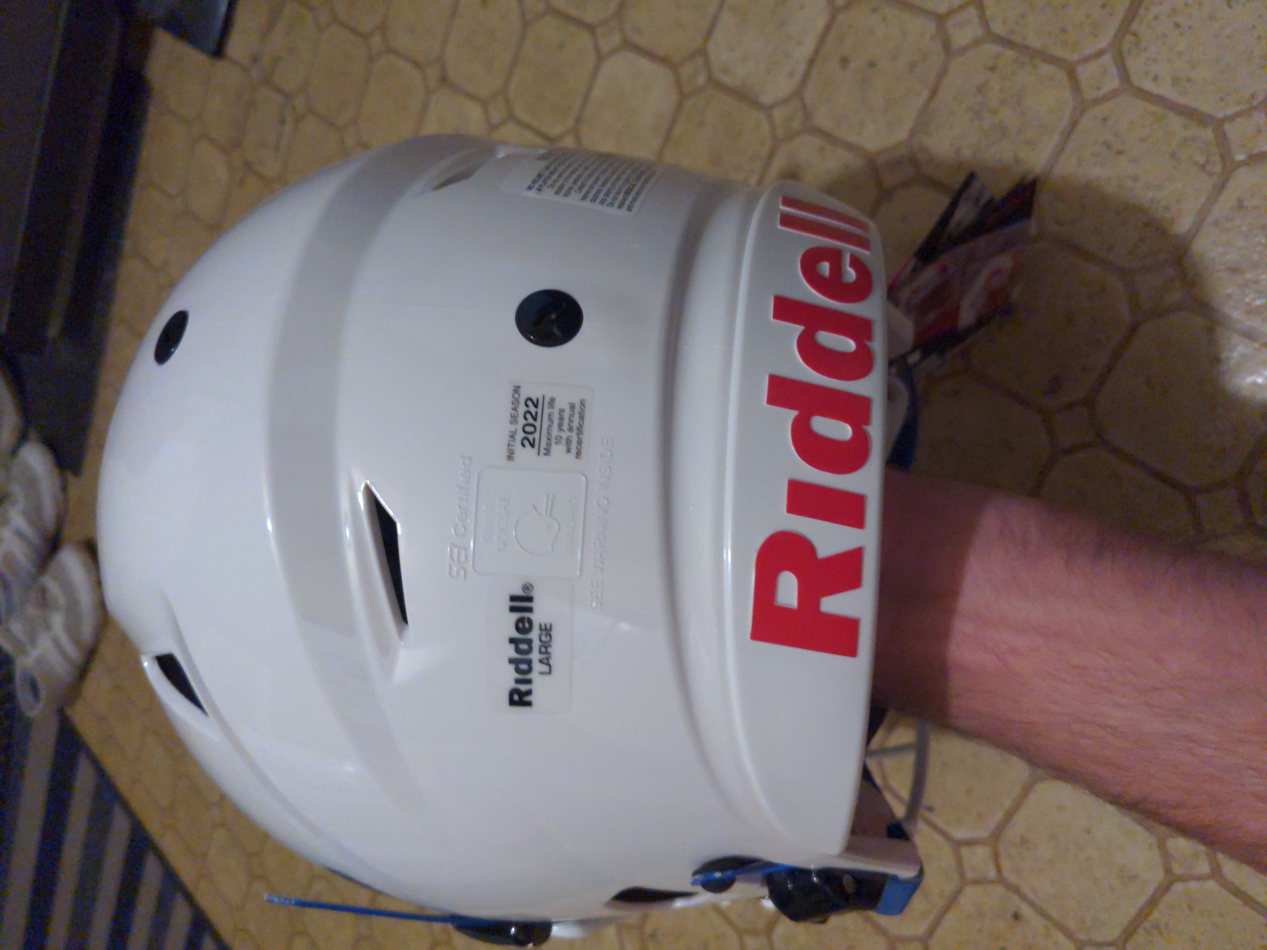 Adult New Large white Riddell SpeedFlex Helmet | SidelineSwap