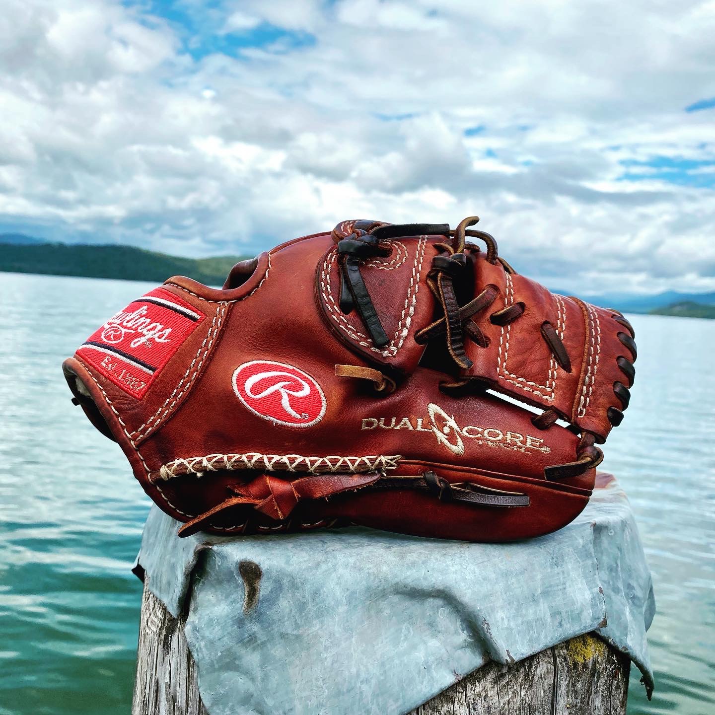 Rawlings Primo 11.5” PRM1150S Baseball Glove | SidelineSwap