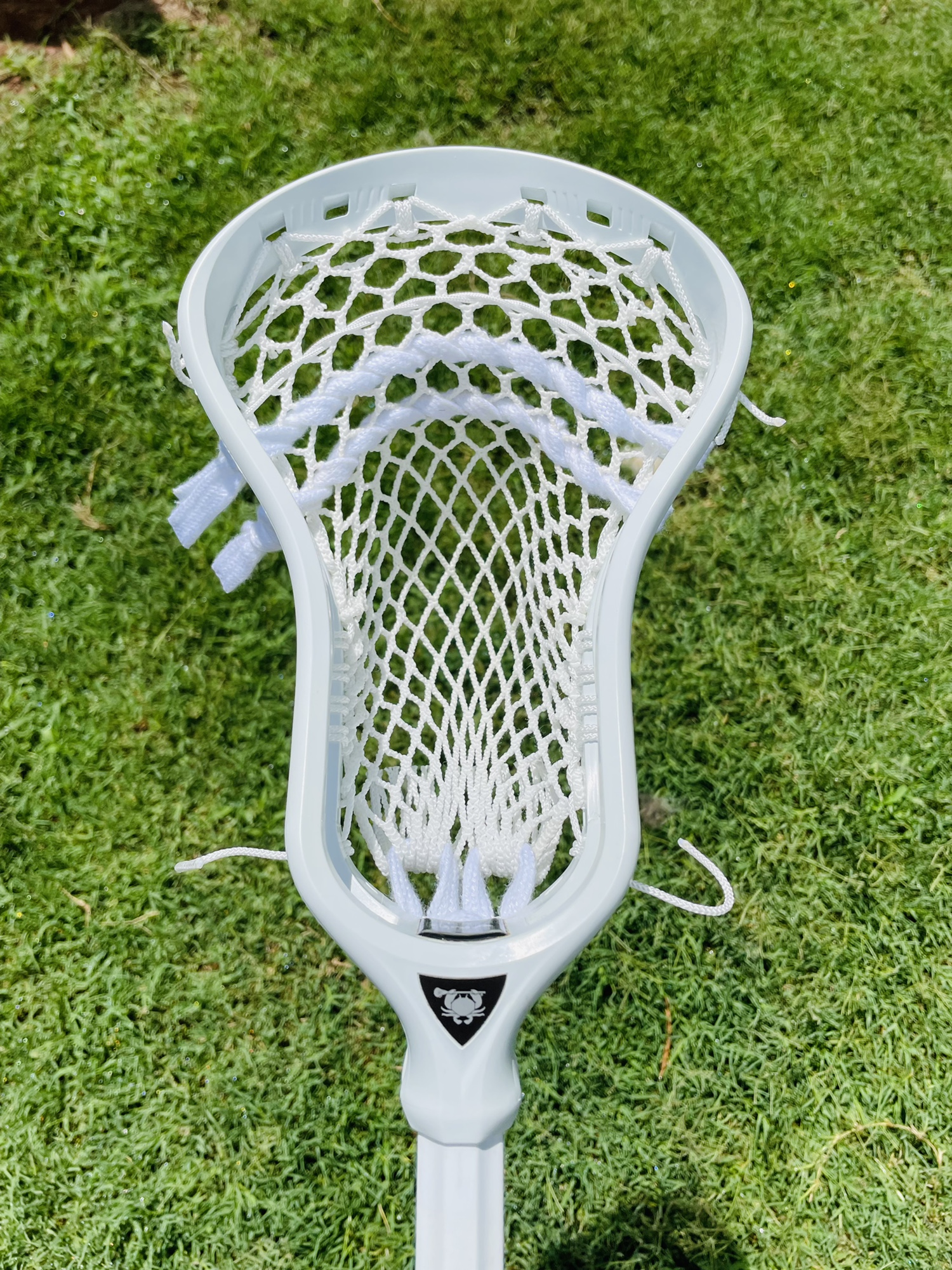 New ECD DNA W/ ECD Vortex Mesh | SidelineSwap