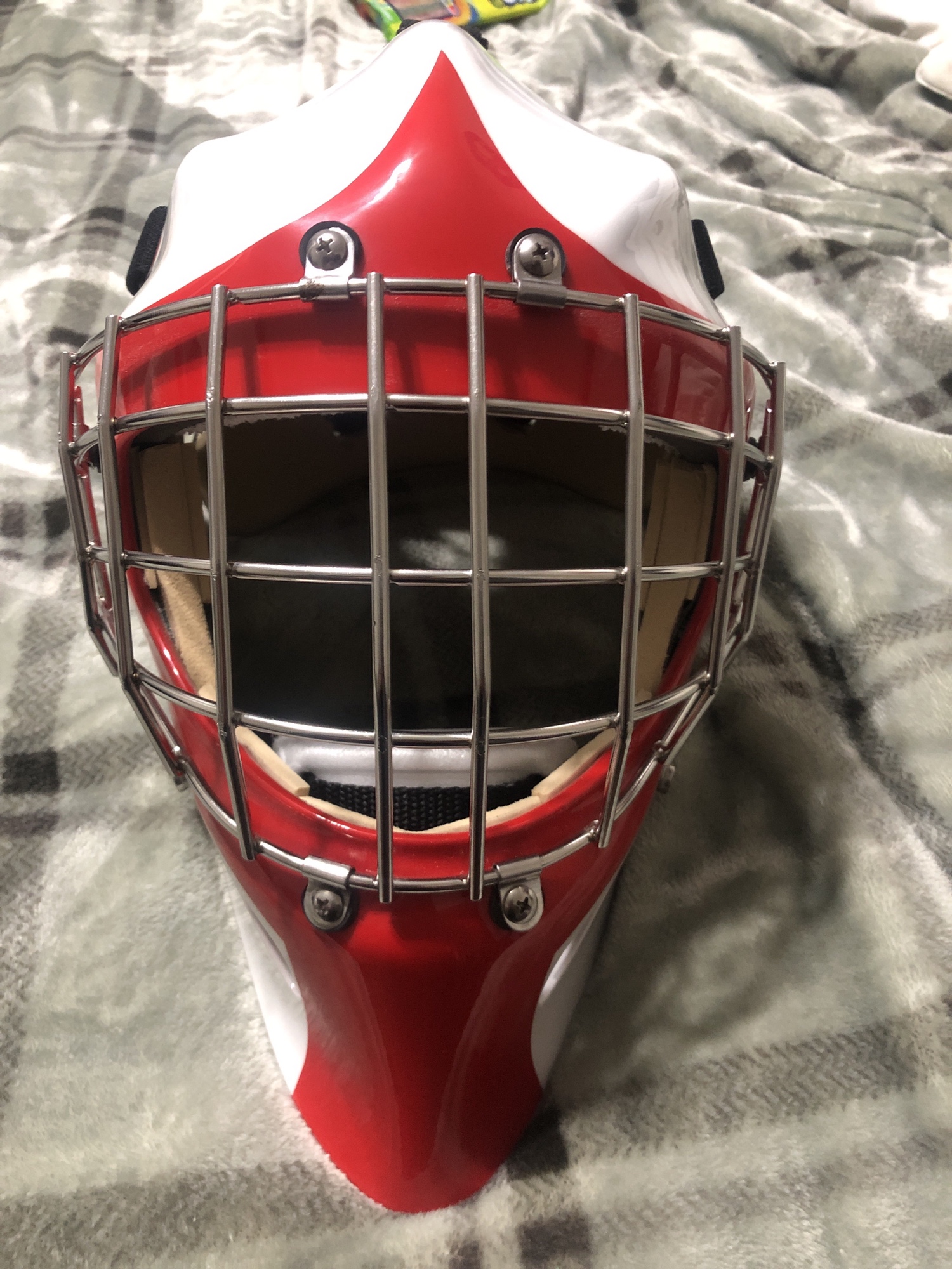 Wall goalie mask | SidelineSwap