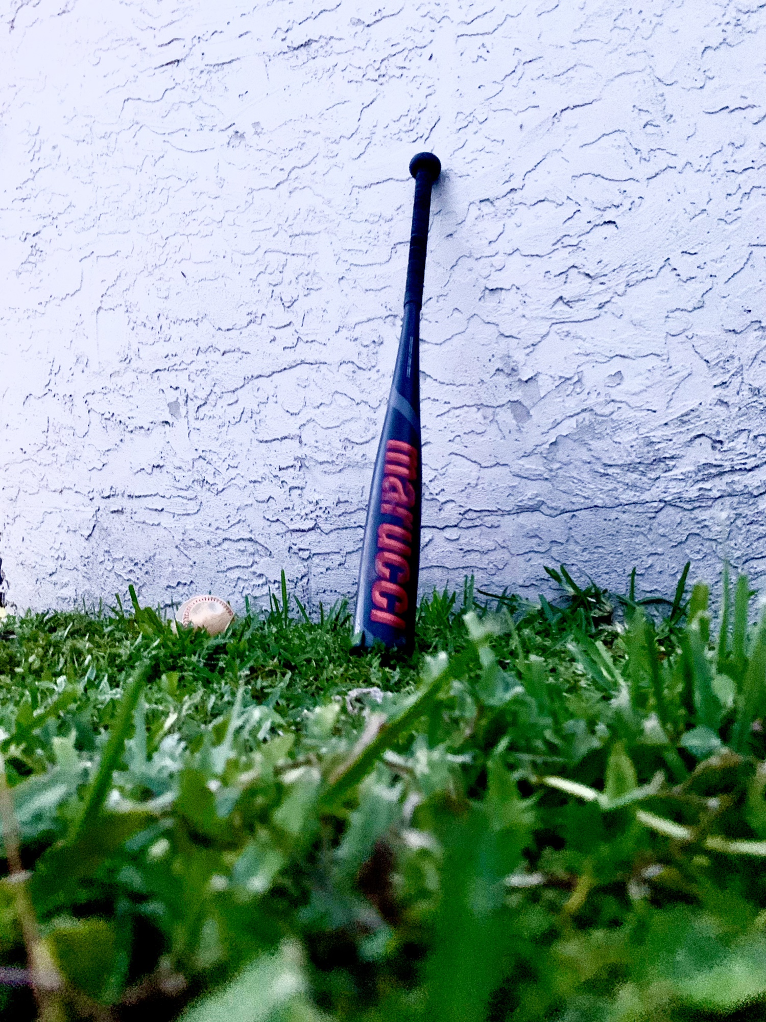 Alloy (-10) 20 oz 30" Cat 9 Bat | SidelineSwap