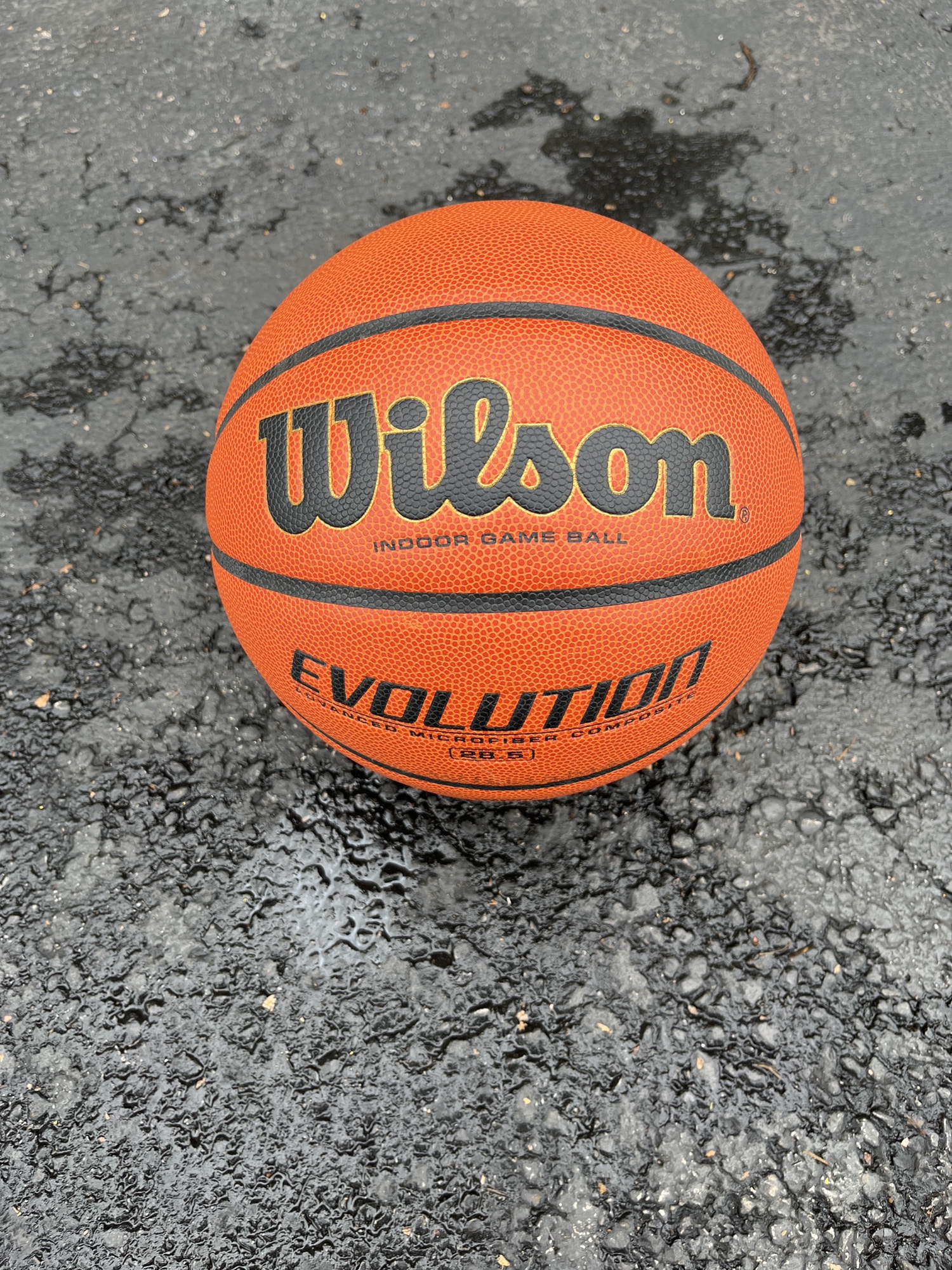 Used Wilson Evolution 28.5 Basketball | SidelineSwap