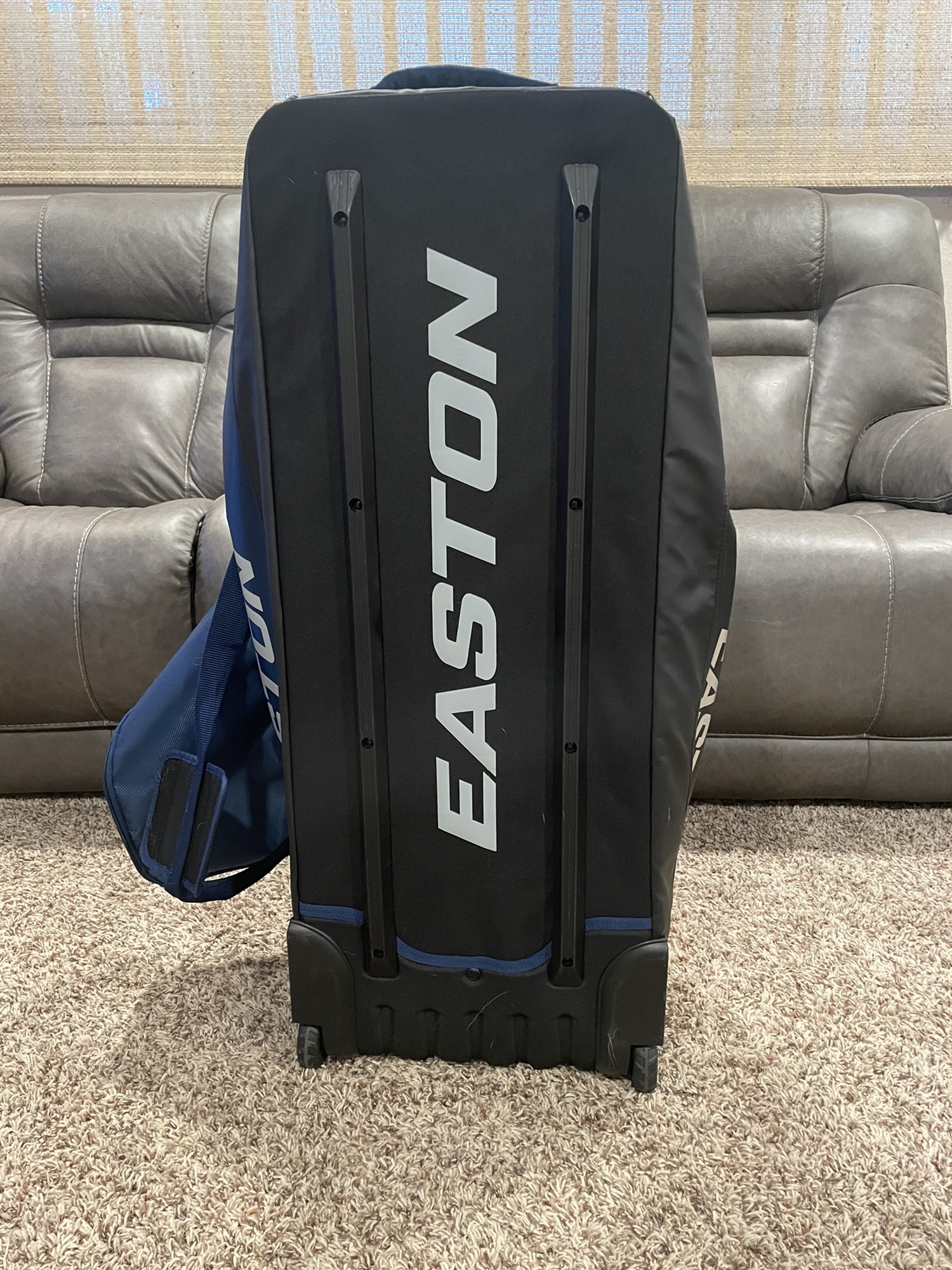 Easton Catcher's Bag | SidelineSwap