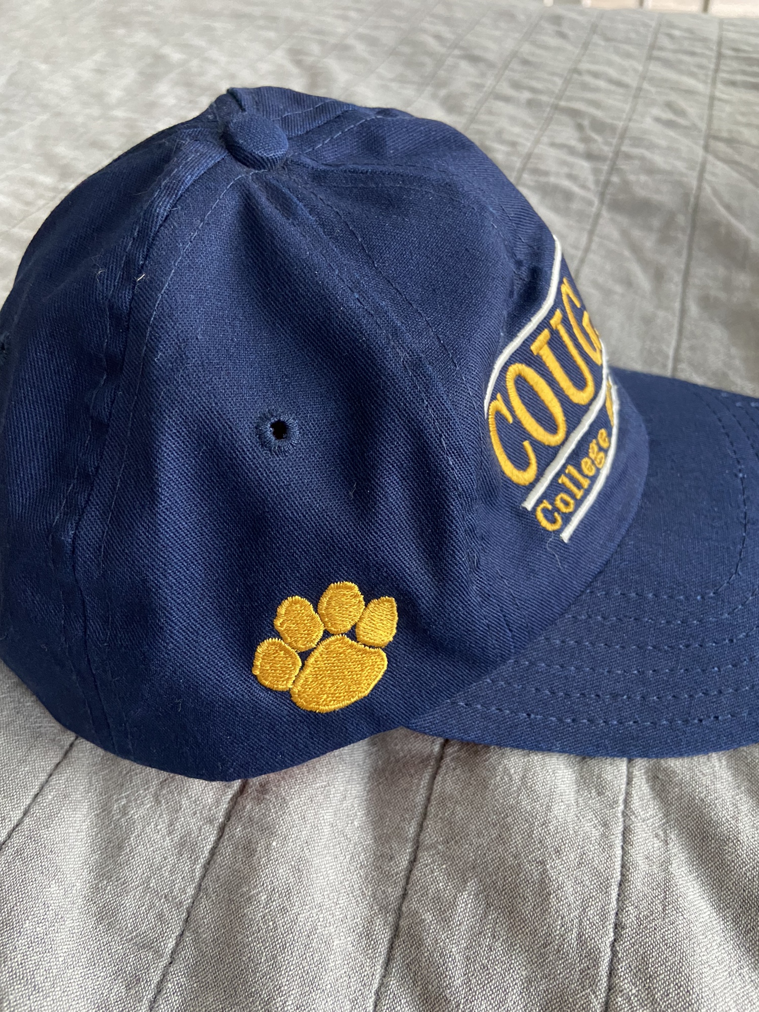 Vintage College Misericordia SnapBack Hat | SidelineSwap