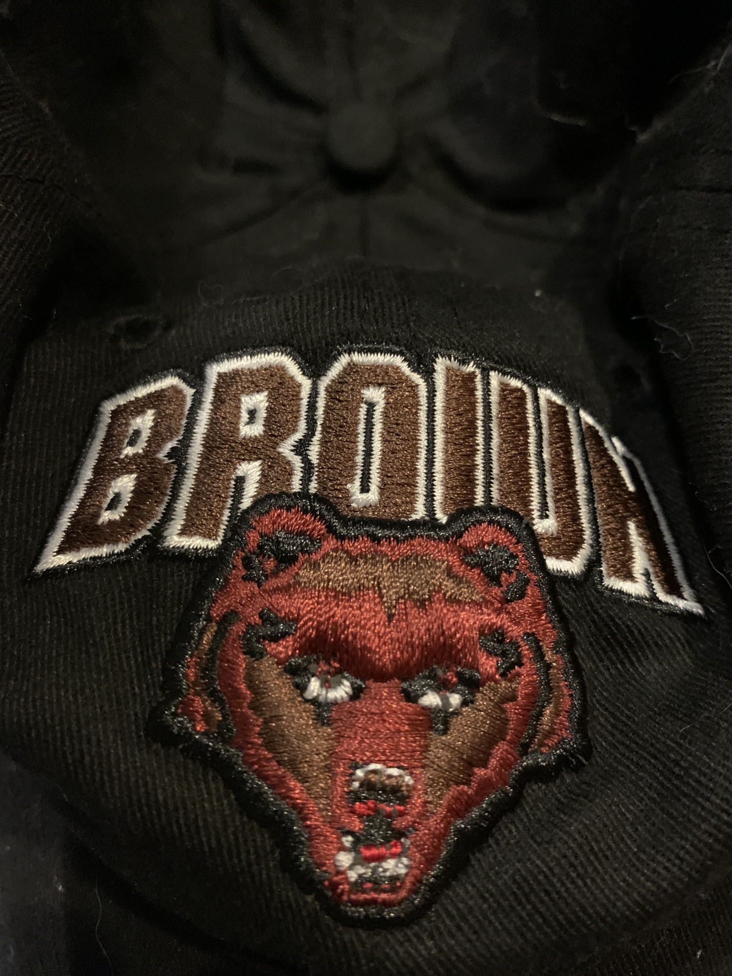 Brown university hat | SidelineSwap