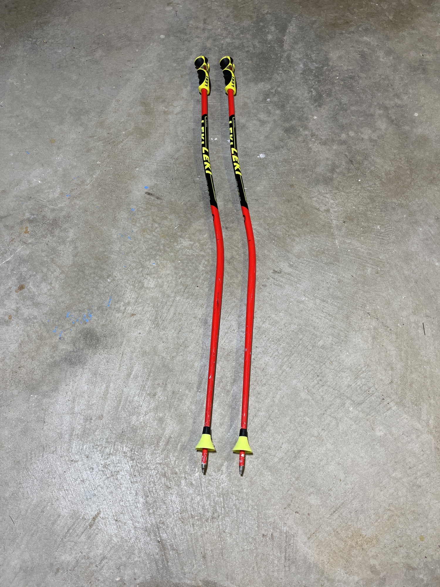 Lexi World Cup Lite GS Poles | SidelineSwap