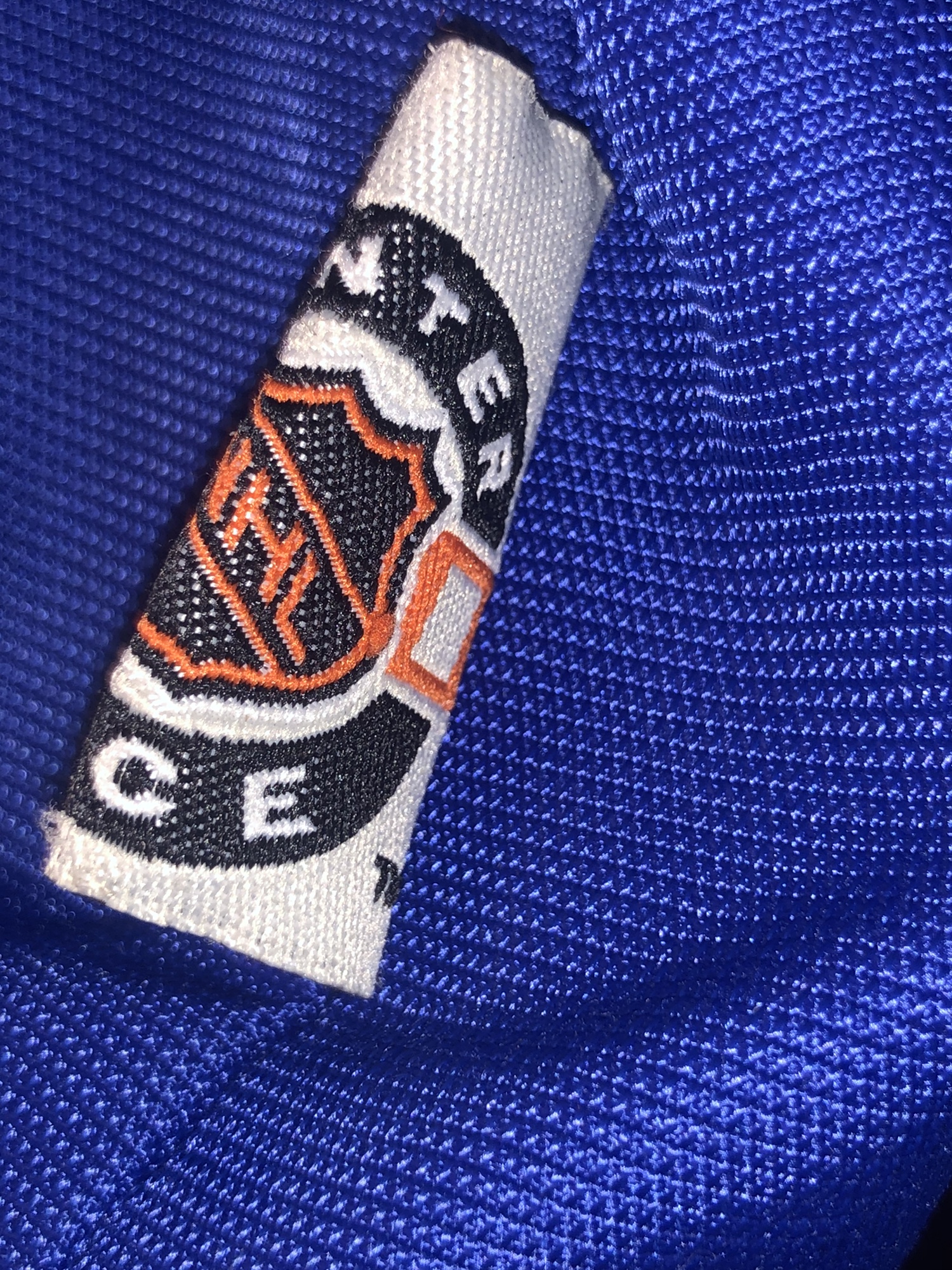 VINTAGE FLORIDA PANTHERS RIVAL JACKET | SidelineSwap