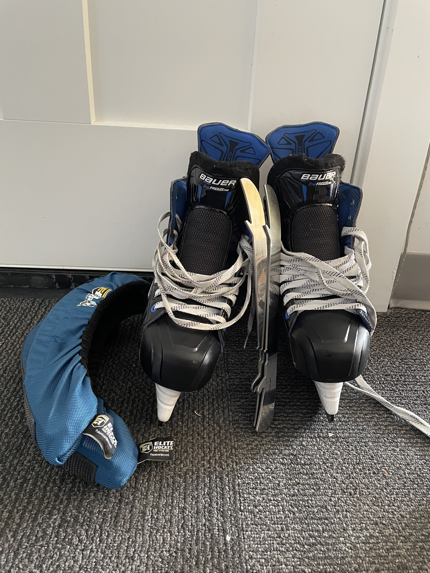 Senior Bauer Regular Width Size 8 Nexus Freeze Pro+ Hockey Skates ...