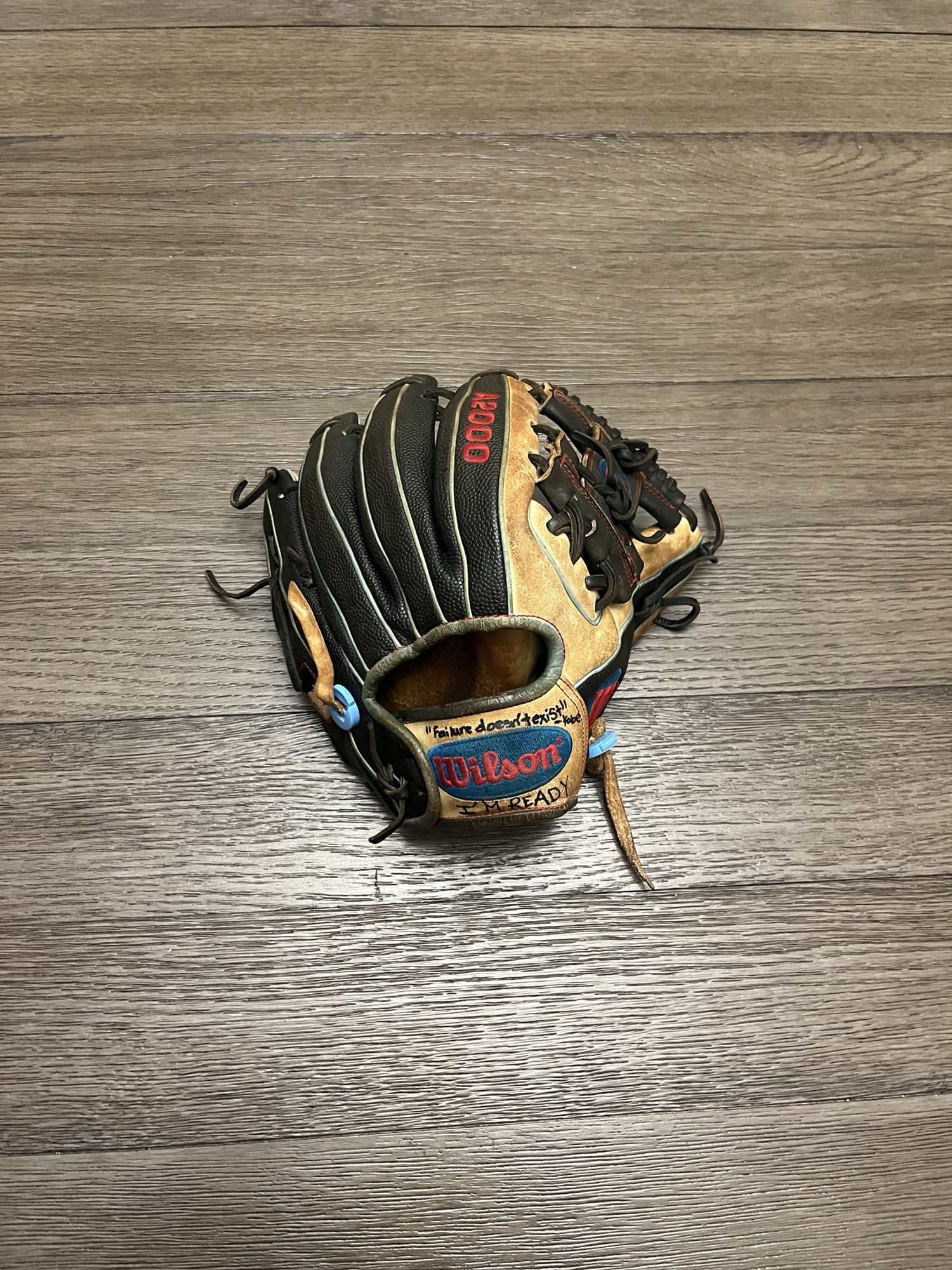 Wilson A2000 DP15 11.5” I Web | SidelineSwap
