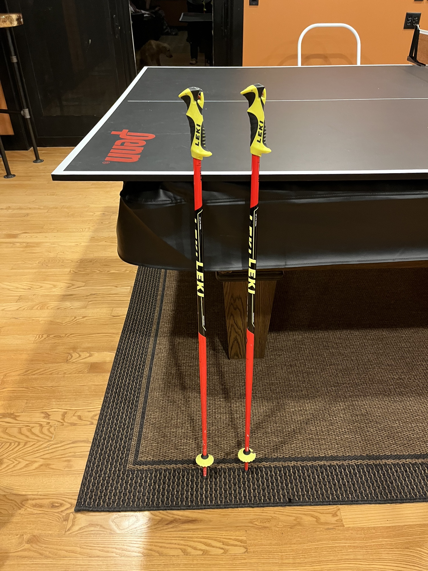 Leki World Cup Lite SL Poles - 100cm/40” | SidelineSwap