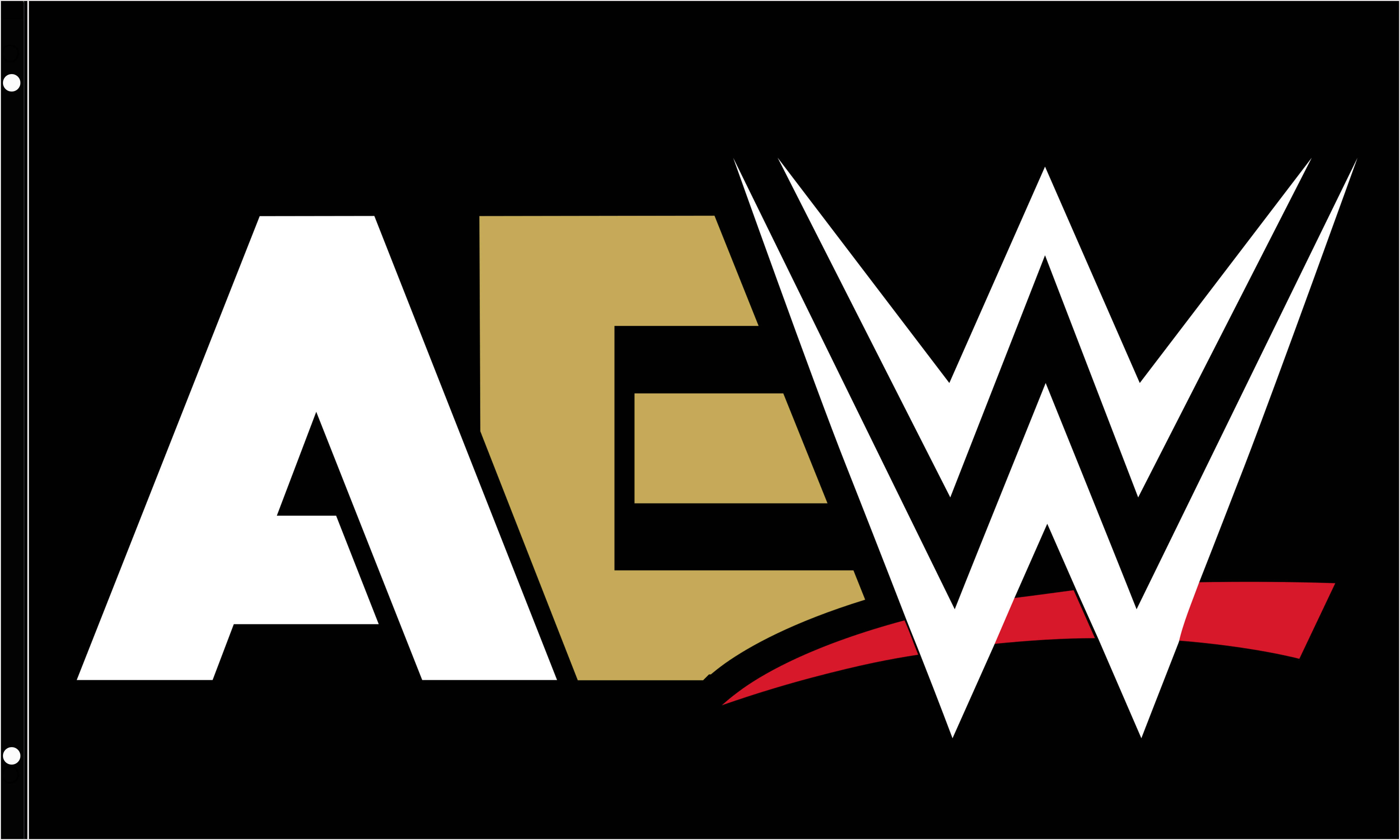 AEW WWE MY CUSTOM FLAG BANNER 3X5 | SidelineSwap