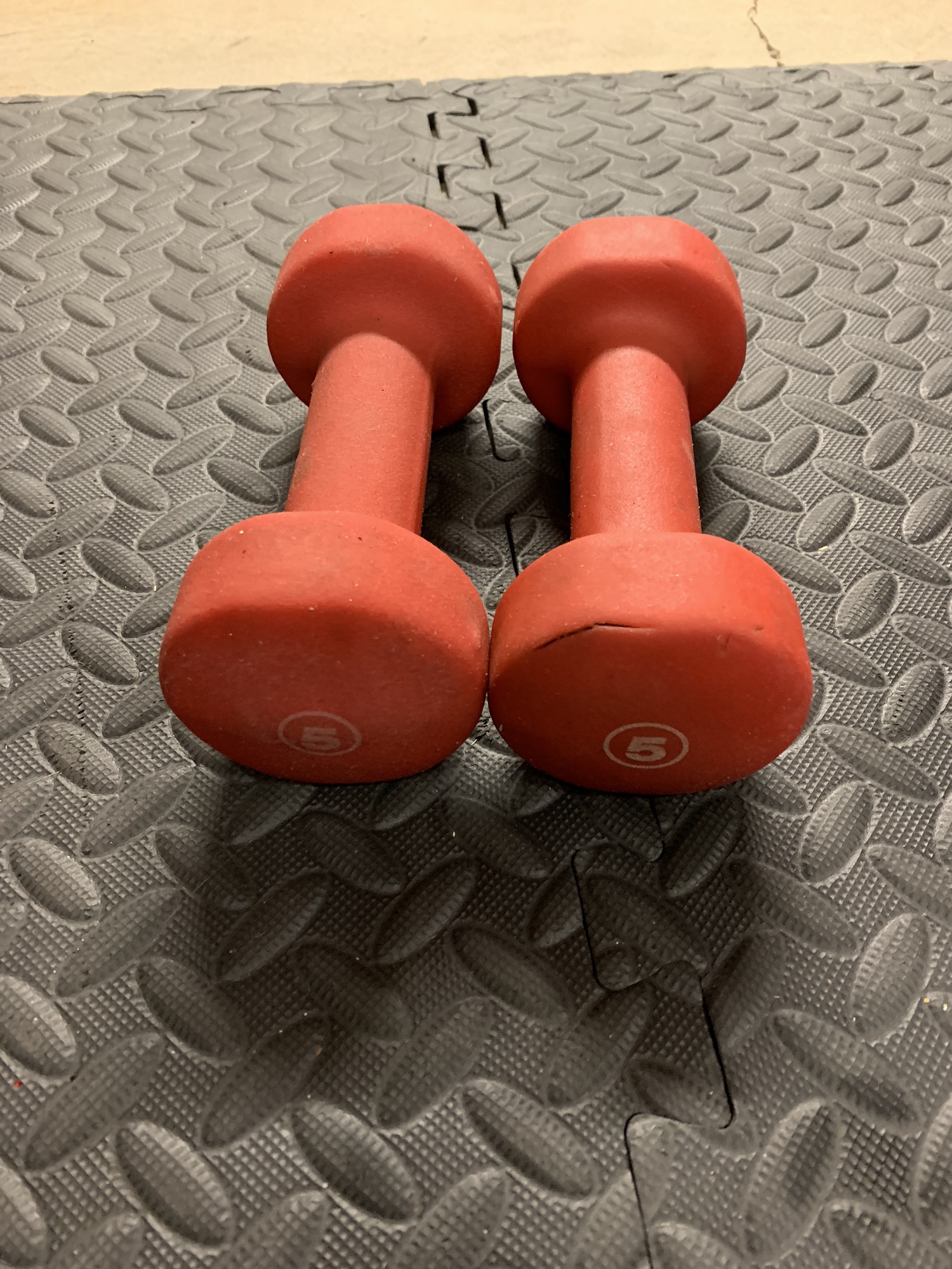 Used 5 Pound Dumbbells | SidelineSwap