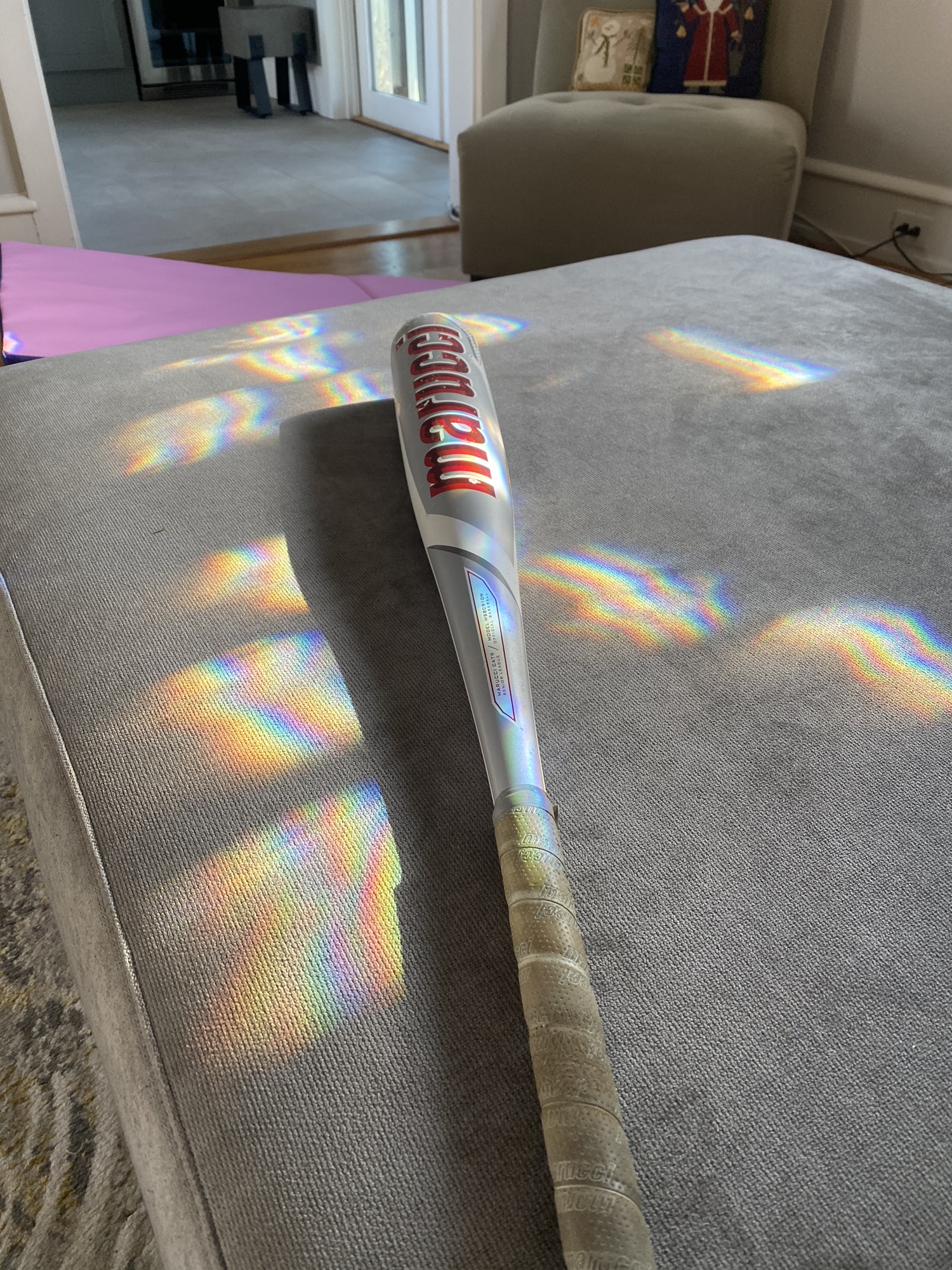 2020 Alloy (-10) 19 oz 29" Cat 9 Bat | SidelineSwap