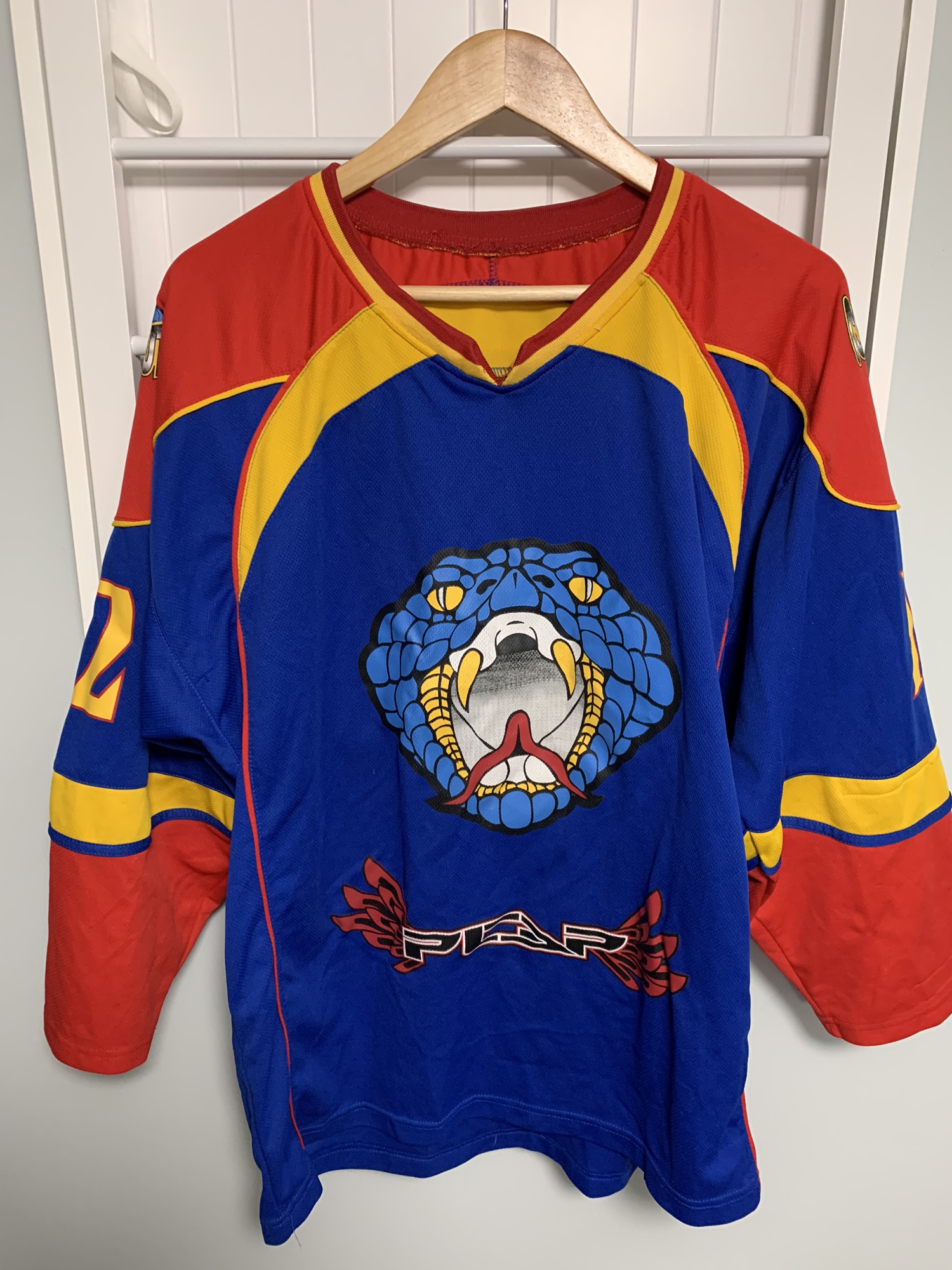 Columbus Cottonmouths Jersey | SidelineSwap