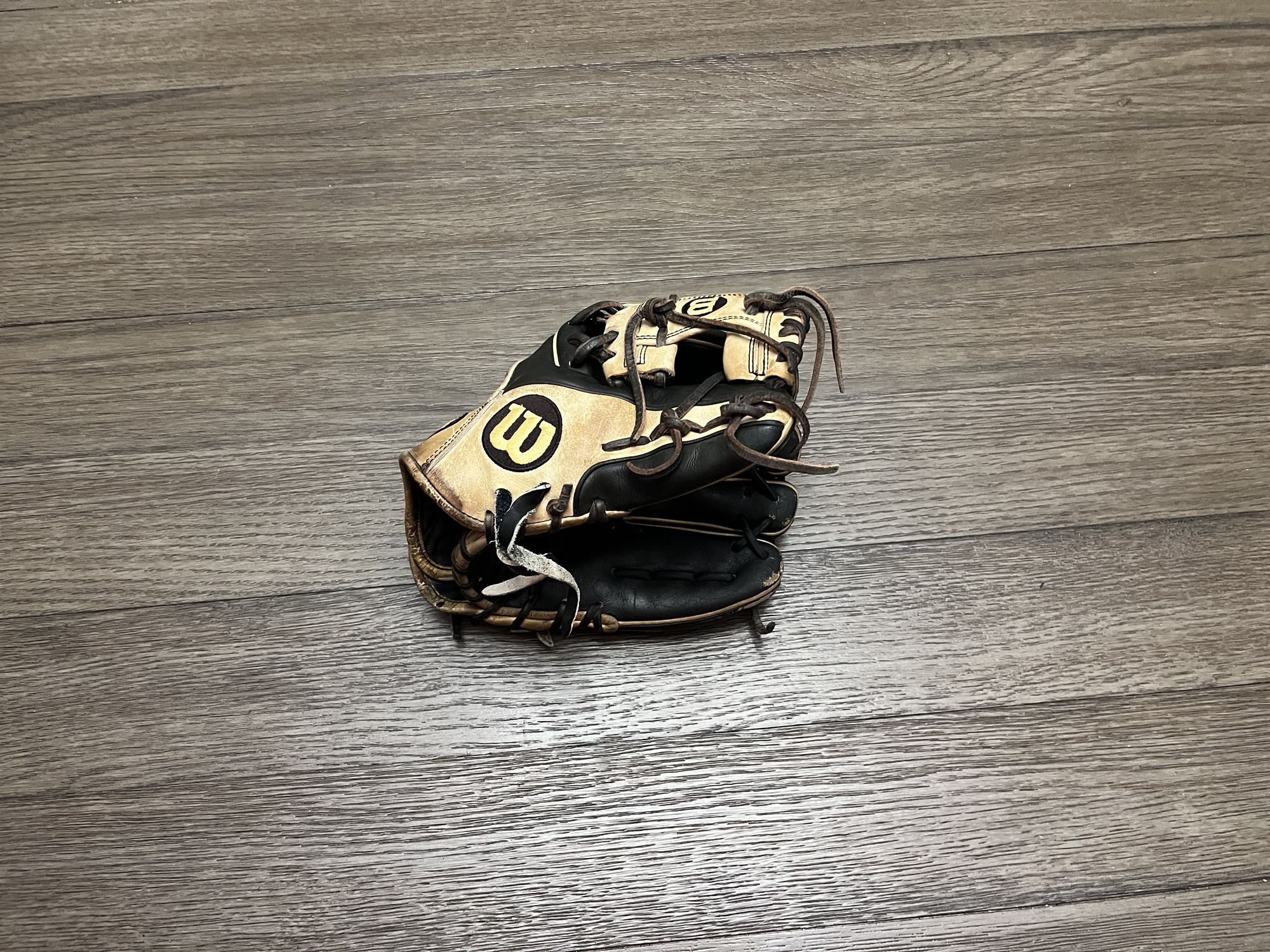 Wilson A2000 1788 11.25” I Web | SidelineSwap