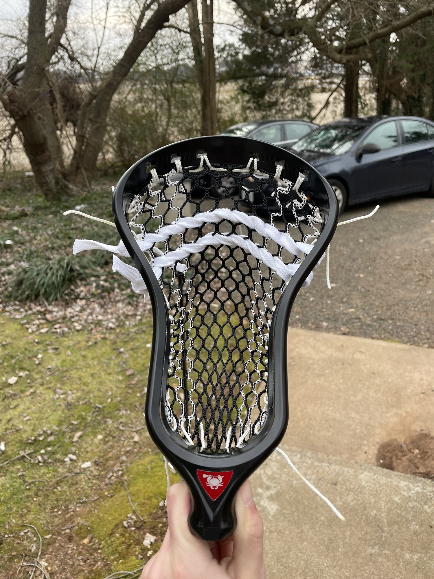BN ECD DNA strung with ECD black and white striker mesh | SidelineSwap