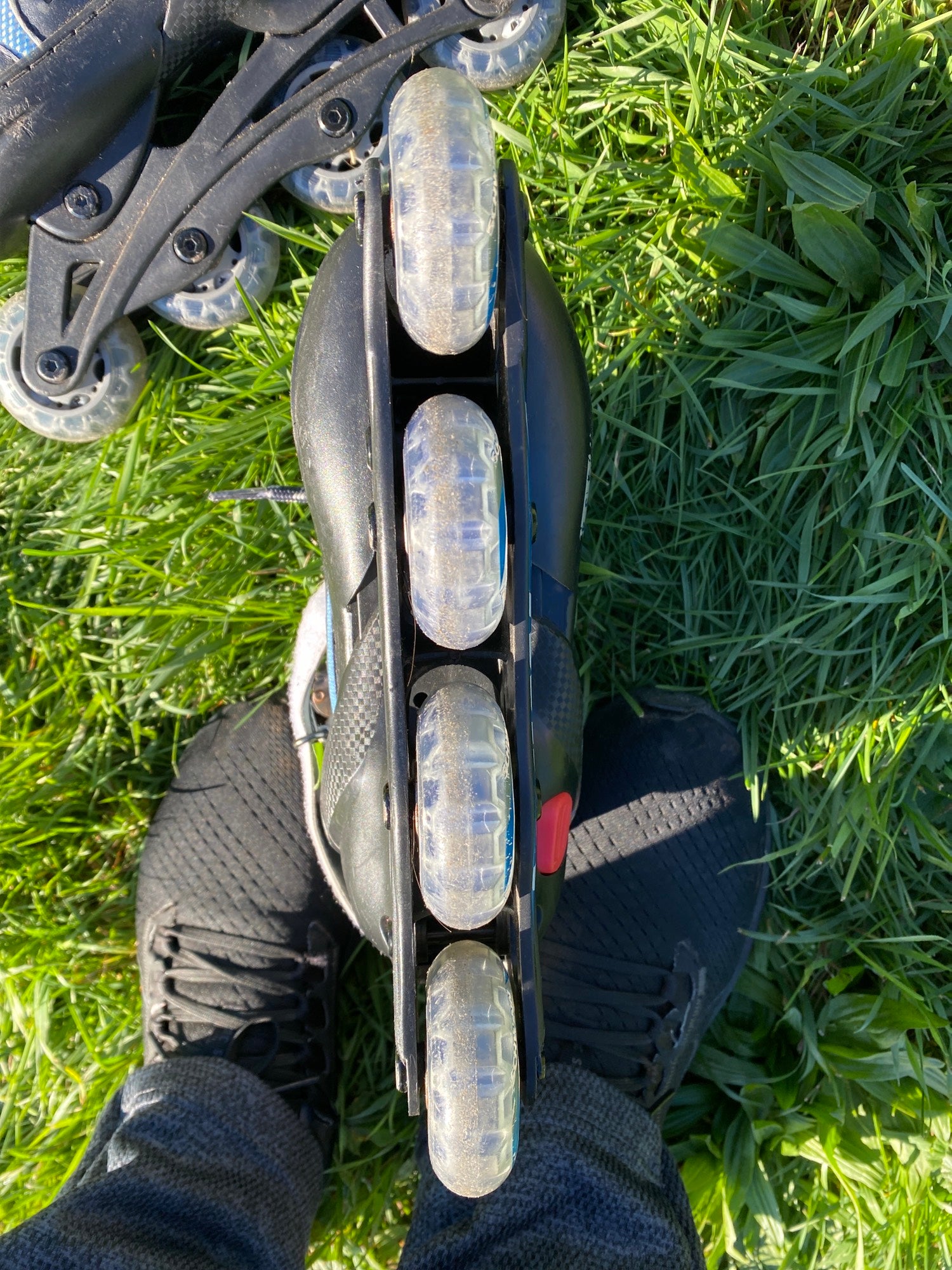 Used Schwinn Inline Skates D&R (Regular) - Size: 1.0 - 4.0 (Adjustable ...