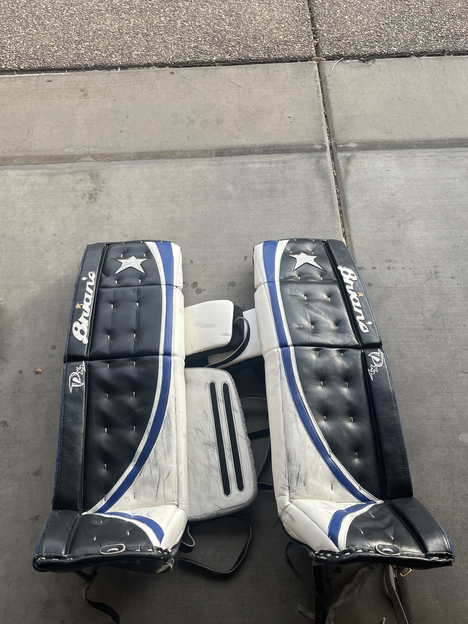 36" Sean Burke Brian's Pro Stock Dx2 Goalie Leg Pads | SidelineSwap