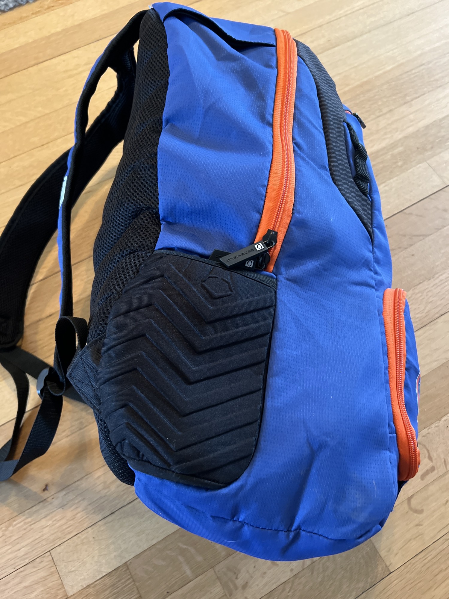 Florida Gator Baseball EvoShield Bat Bag | SidelineSwap