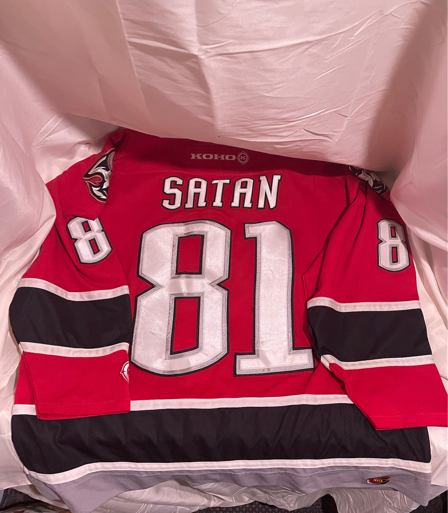 Buffalo Sabres Satan Jersey | SidelineSwap