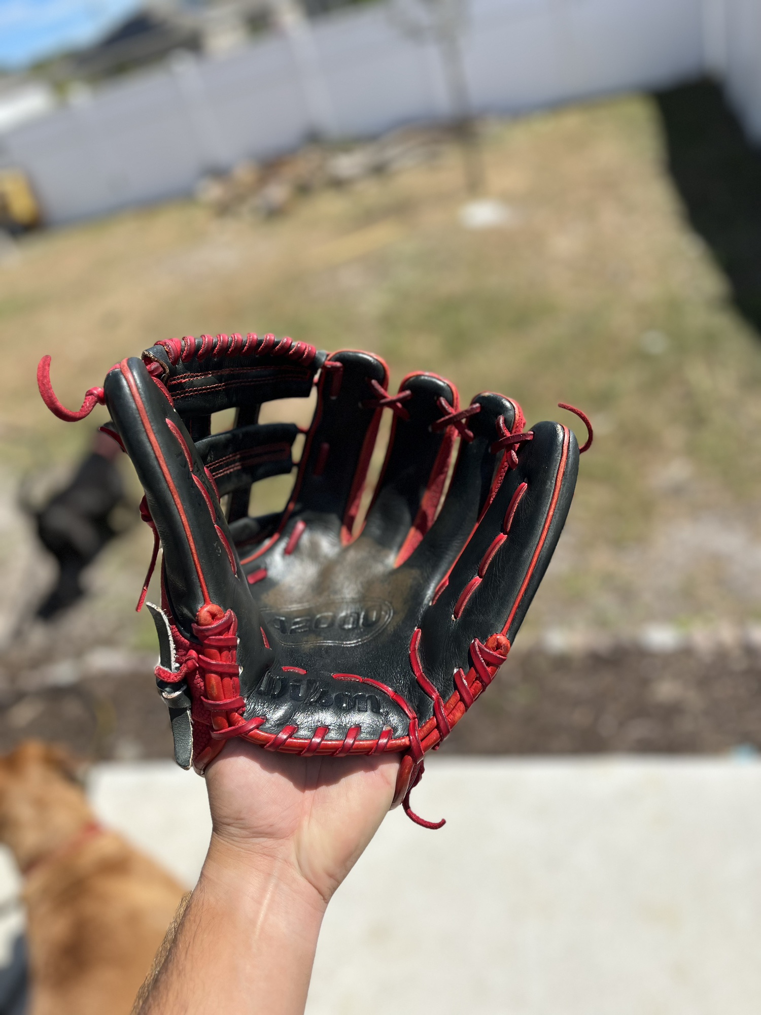 A2000 12in DW5 April GOTM | SidelineSwap