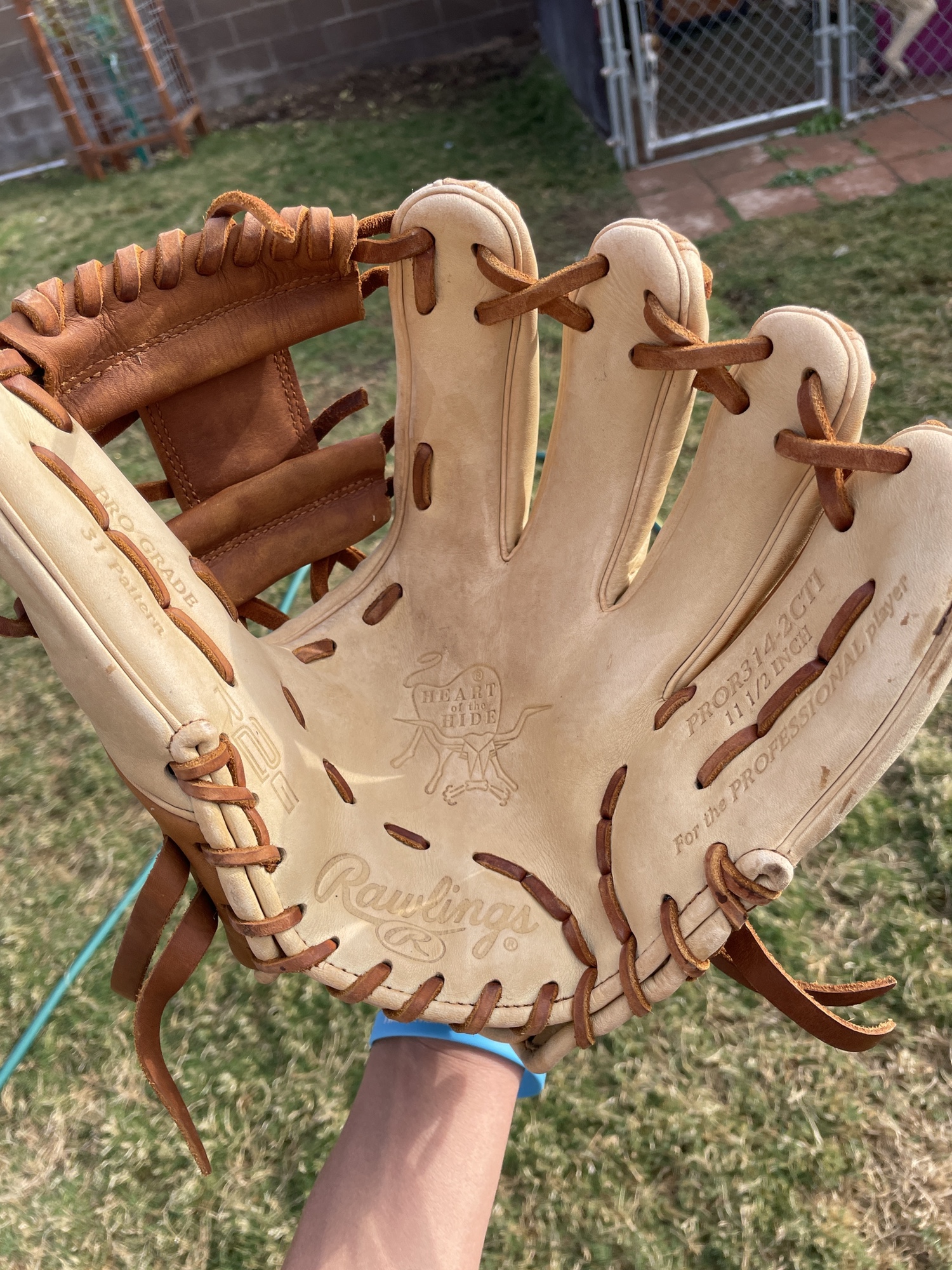 Rawlings HOH R2G Series Glove | SidelineSwap