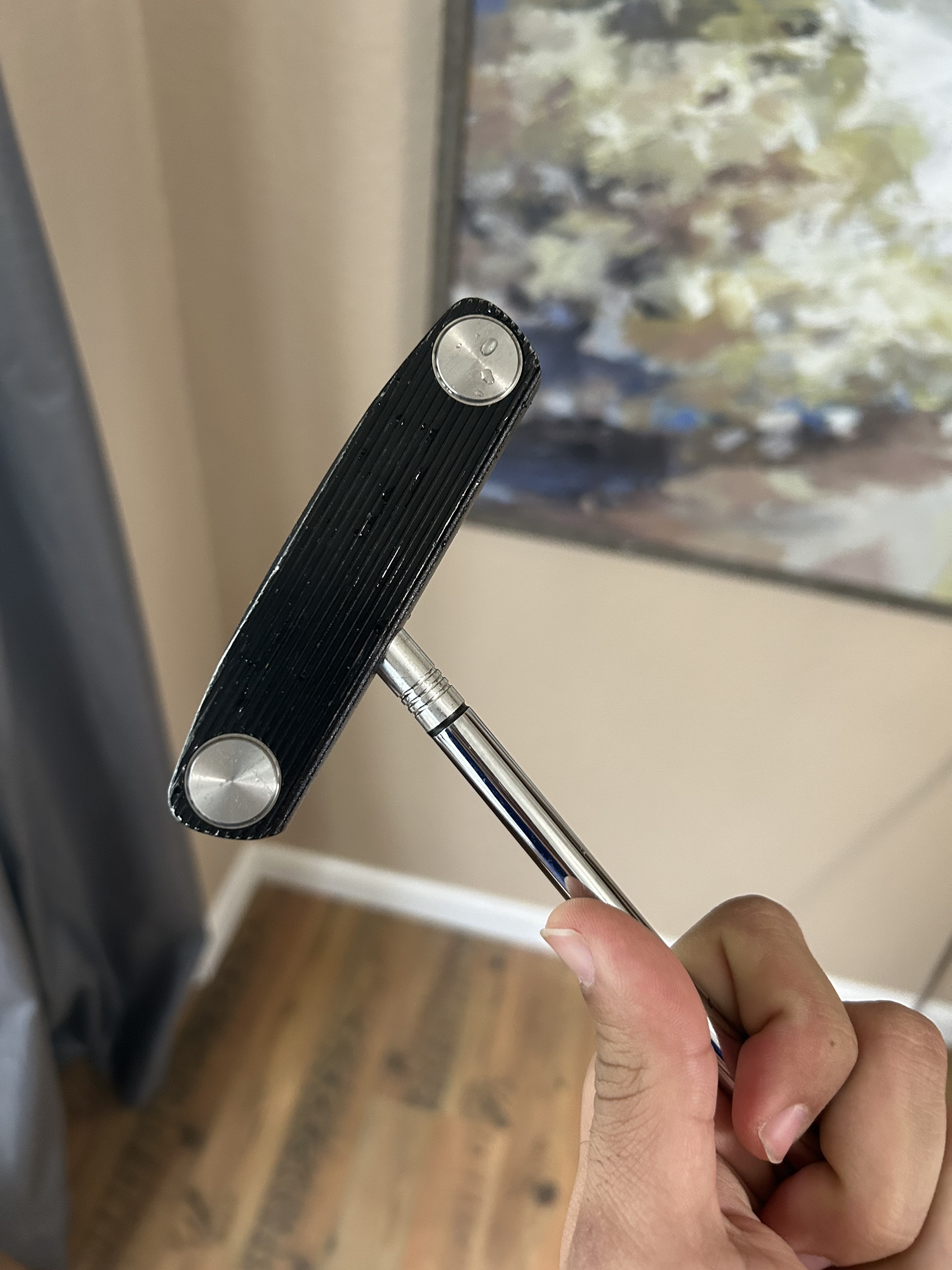 Two bar mallet putter | SidelineSwap