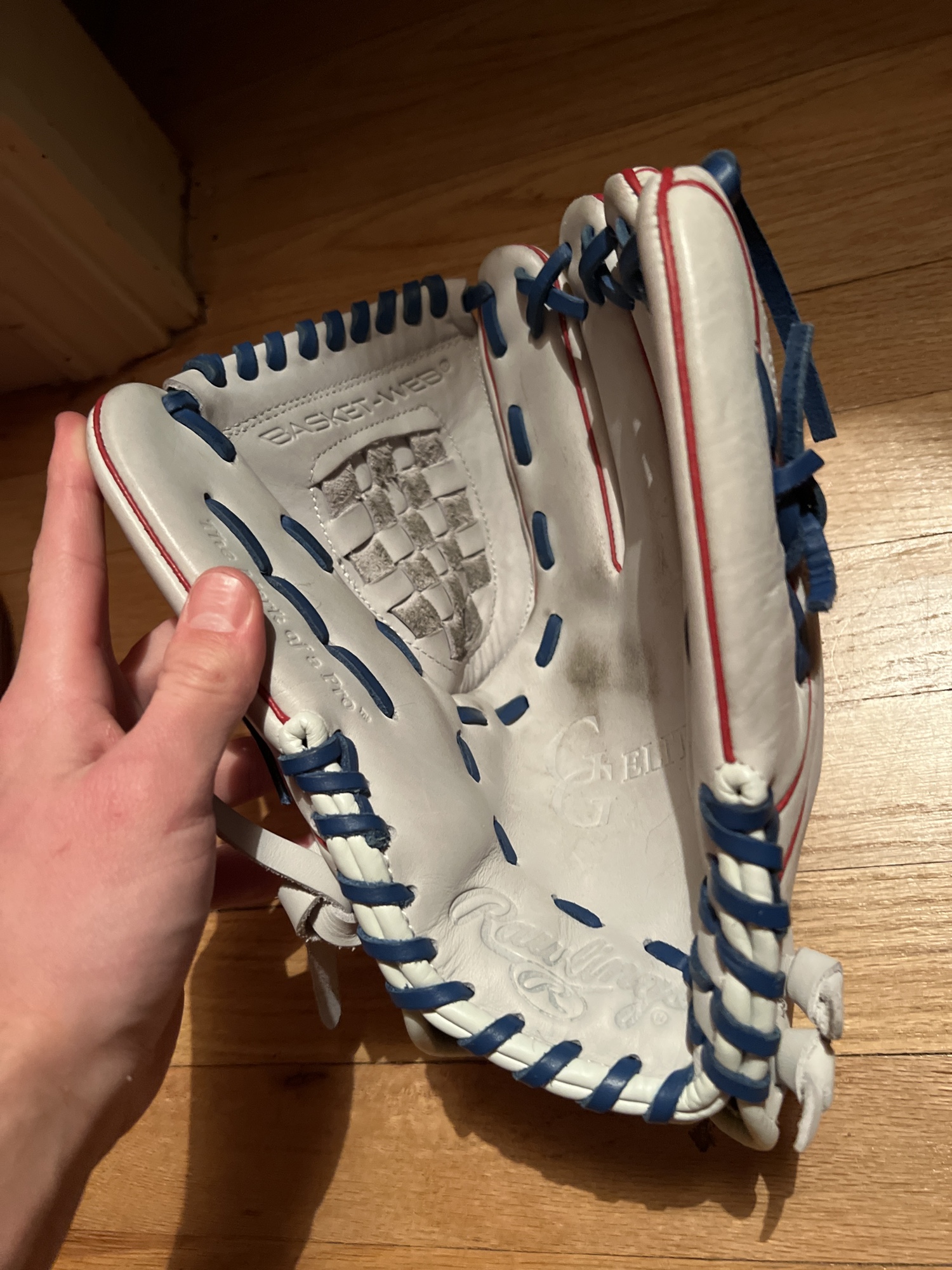 Rawlings baseball glove (gg Elite) | SidelineSwap