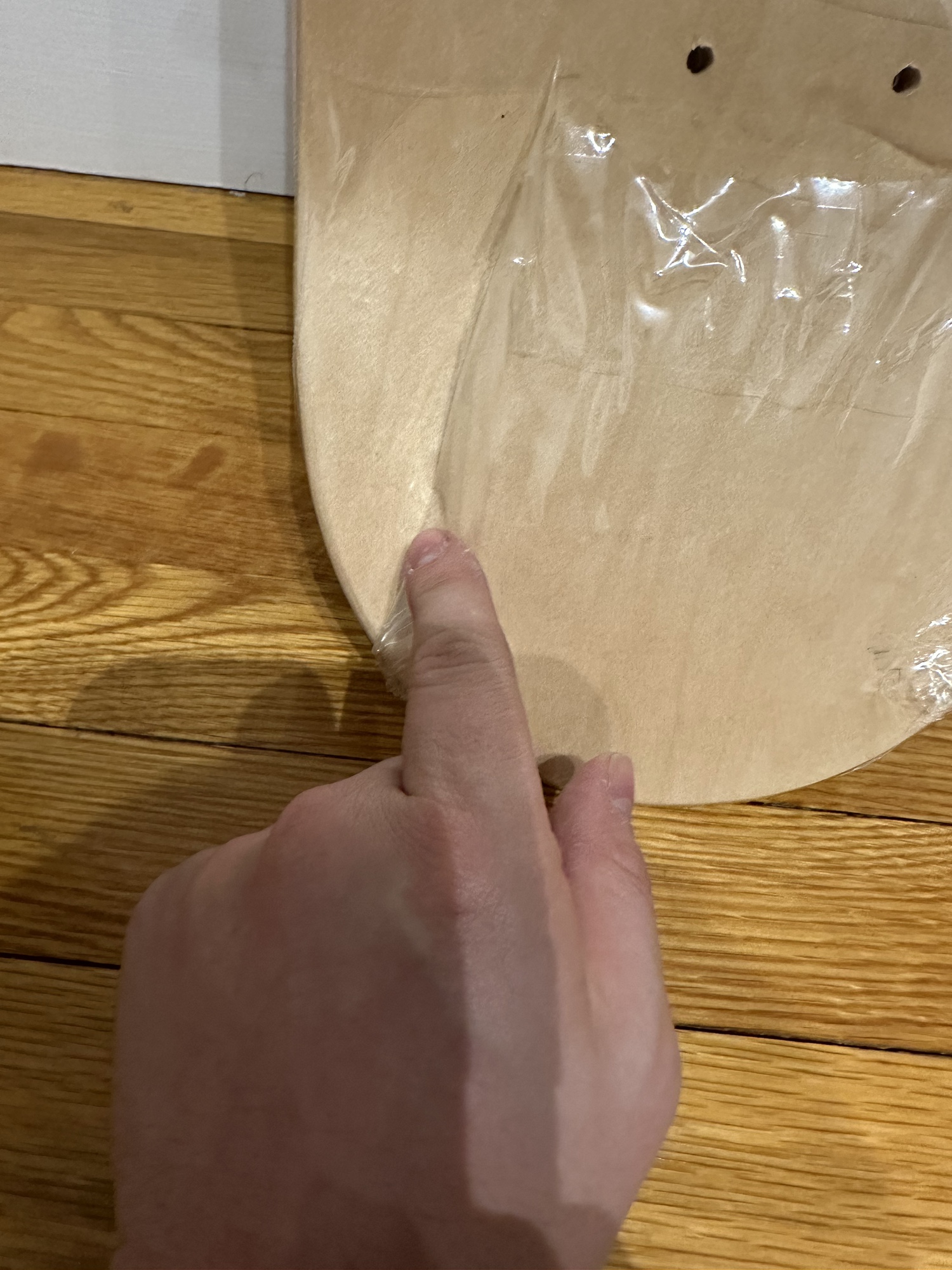 Steve-O autograph Skateboard | SidelineSwap