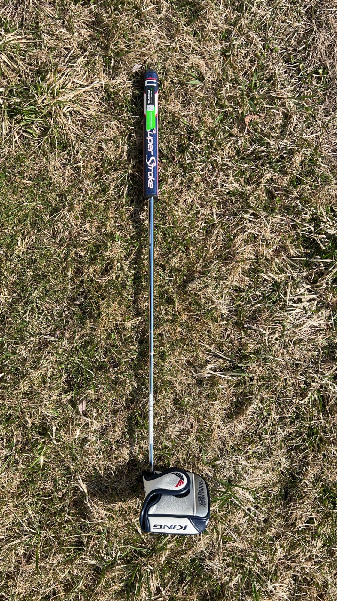 Cobra KING 3D Printed Agera Volition Putter Left | SidelineSwap