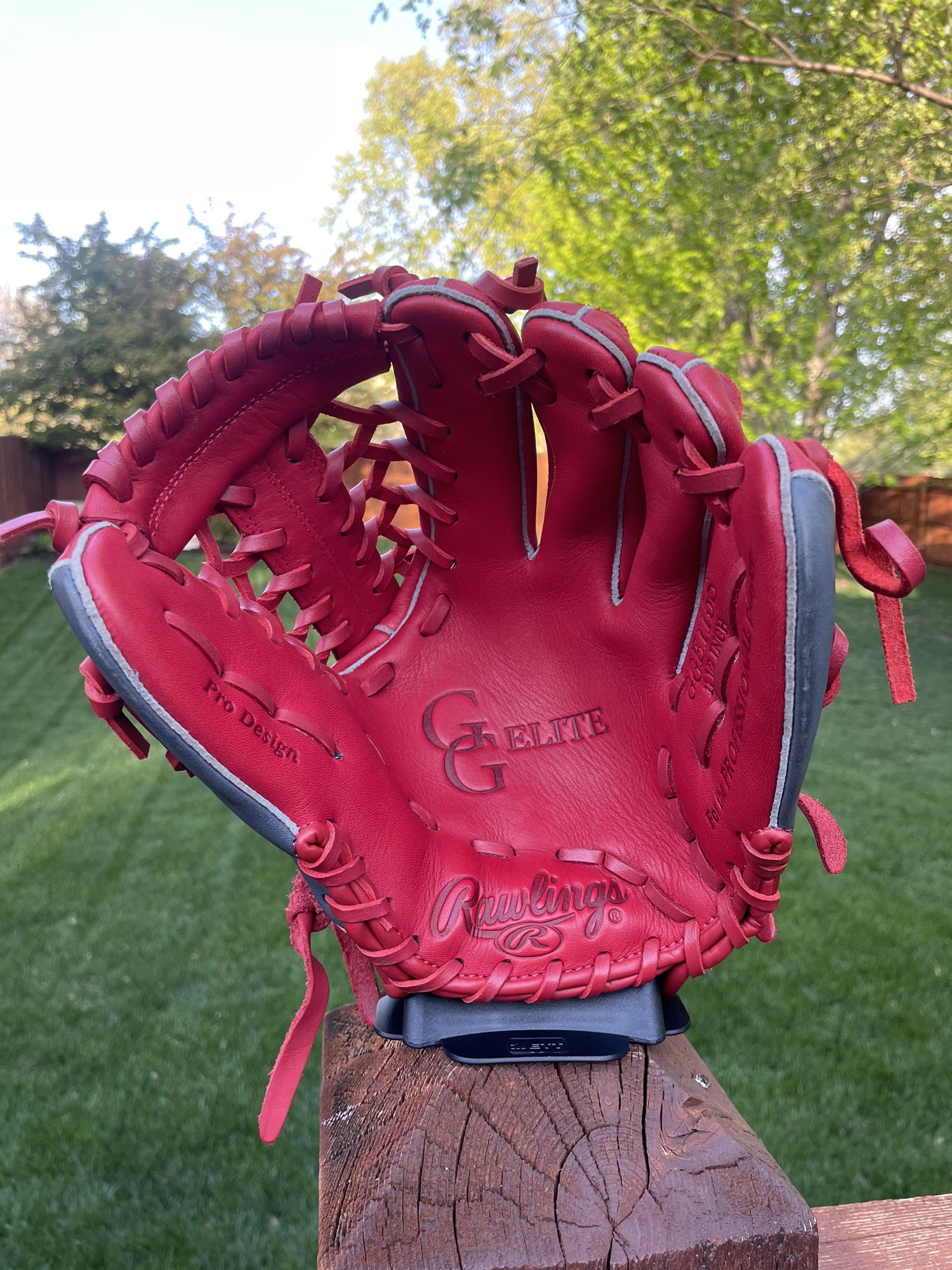 2019 Infield 11.5" Gold Glove Elite Baseball Glove | SidelineSwap